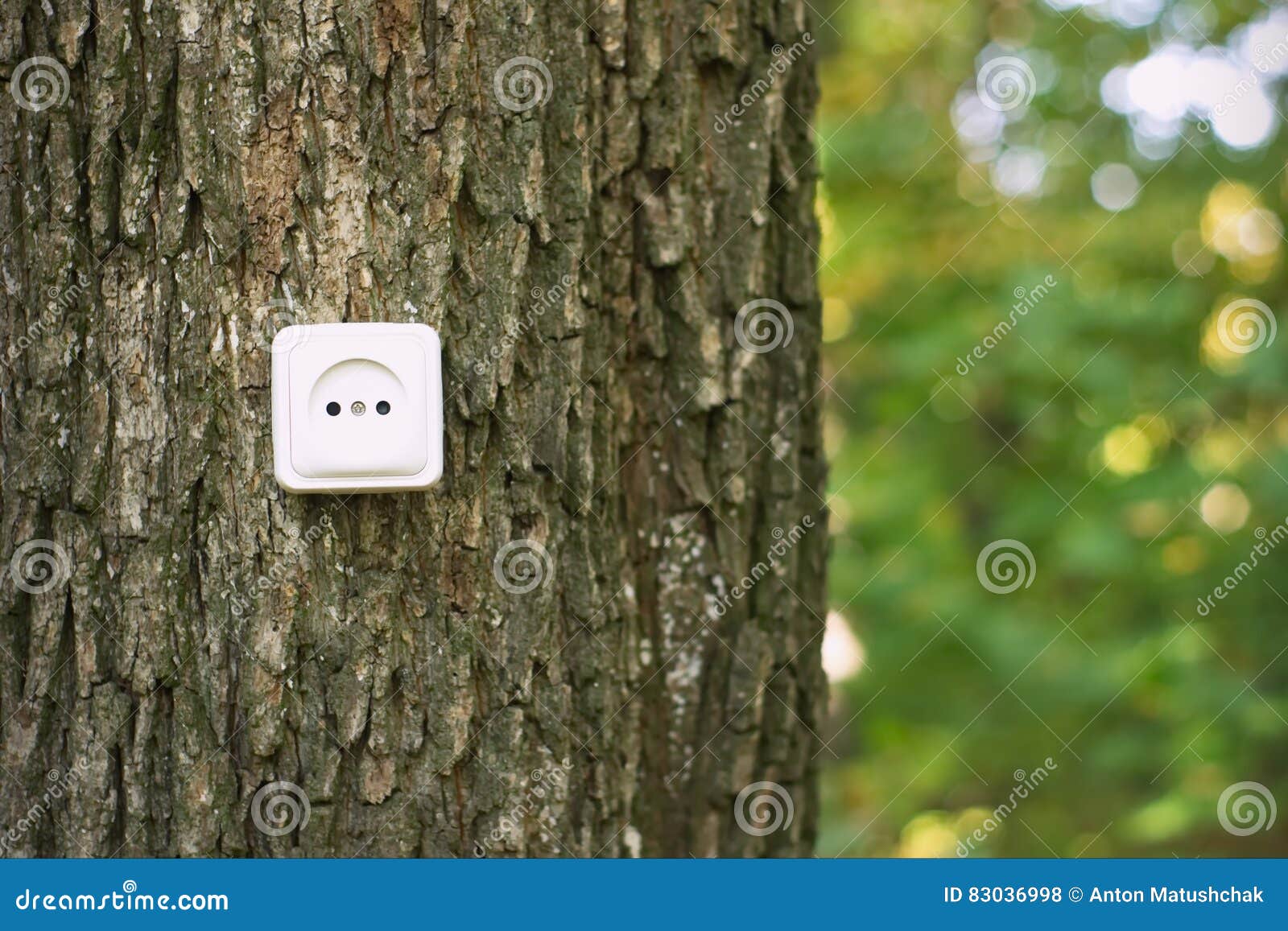 Electric Socket on Trees in Forest. Green Energy Concept Stock Photo ...