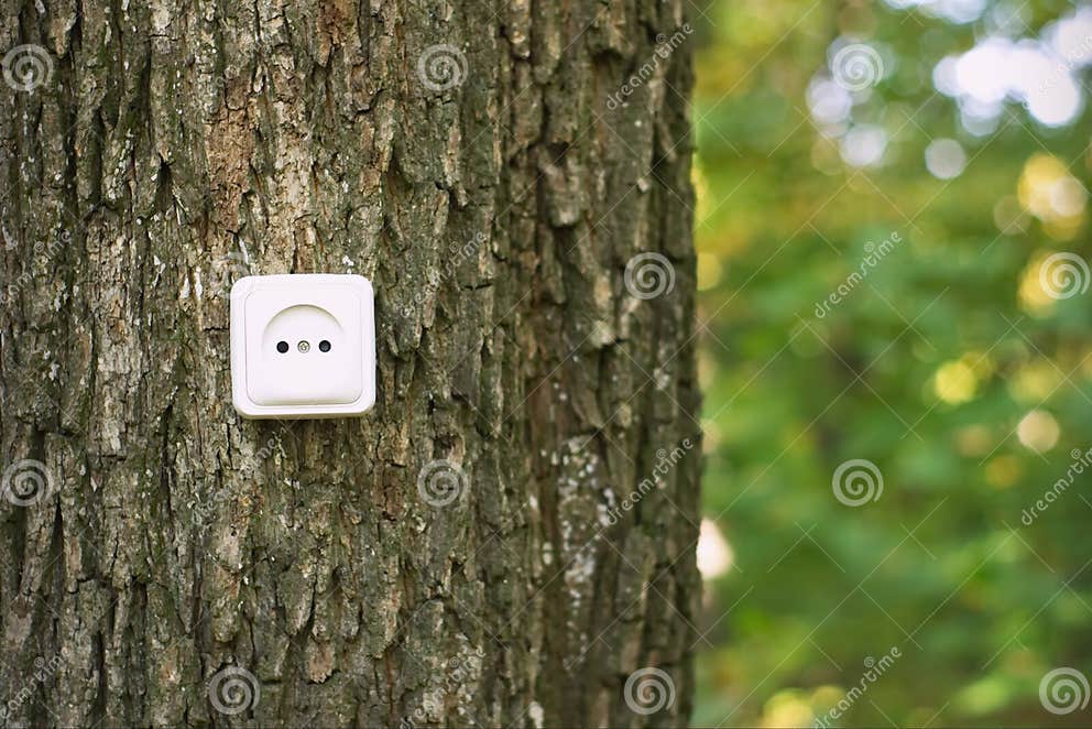 Electric Socket on Trees in Forest. Green Energy Concept Stock Photo ...