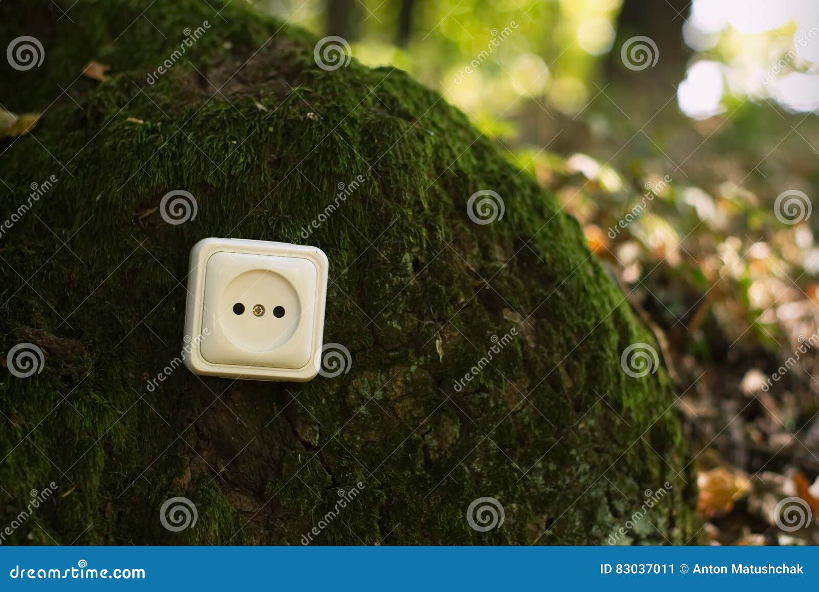 Electric Socket on Trees in Forest. Green Energy Concept Stock Image ...