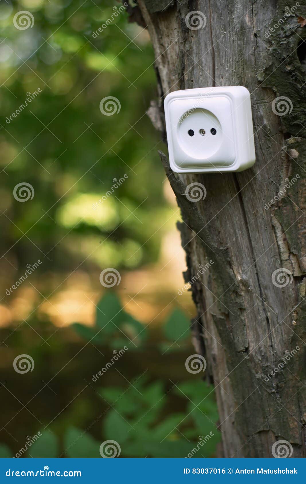Electric Socket on Trees in Forest. Green Energy Concept Stock Photo ...