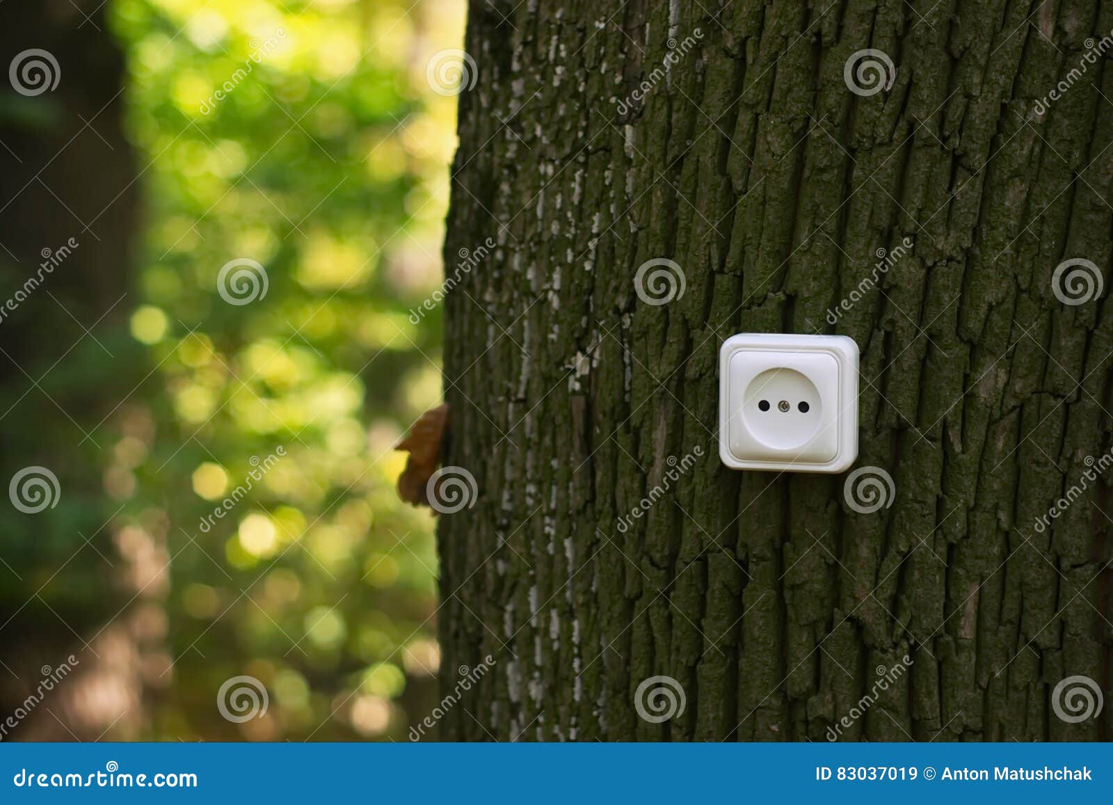 Electric Socket on Trees in Forest. Green Energy Concept Stock Image ...