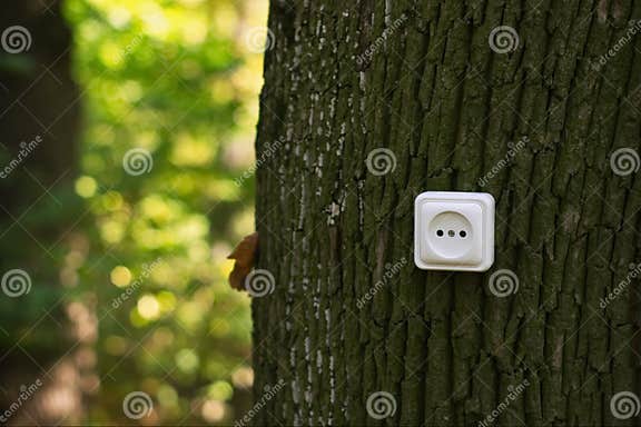 Electric Socket on Trees in Forest. Green Energy Concept Stock Image ...