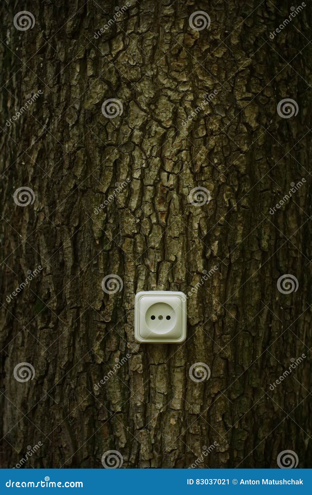 Electric Socket on Trees in Forest. Green Energy Concept Stock Image ...