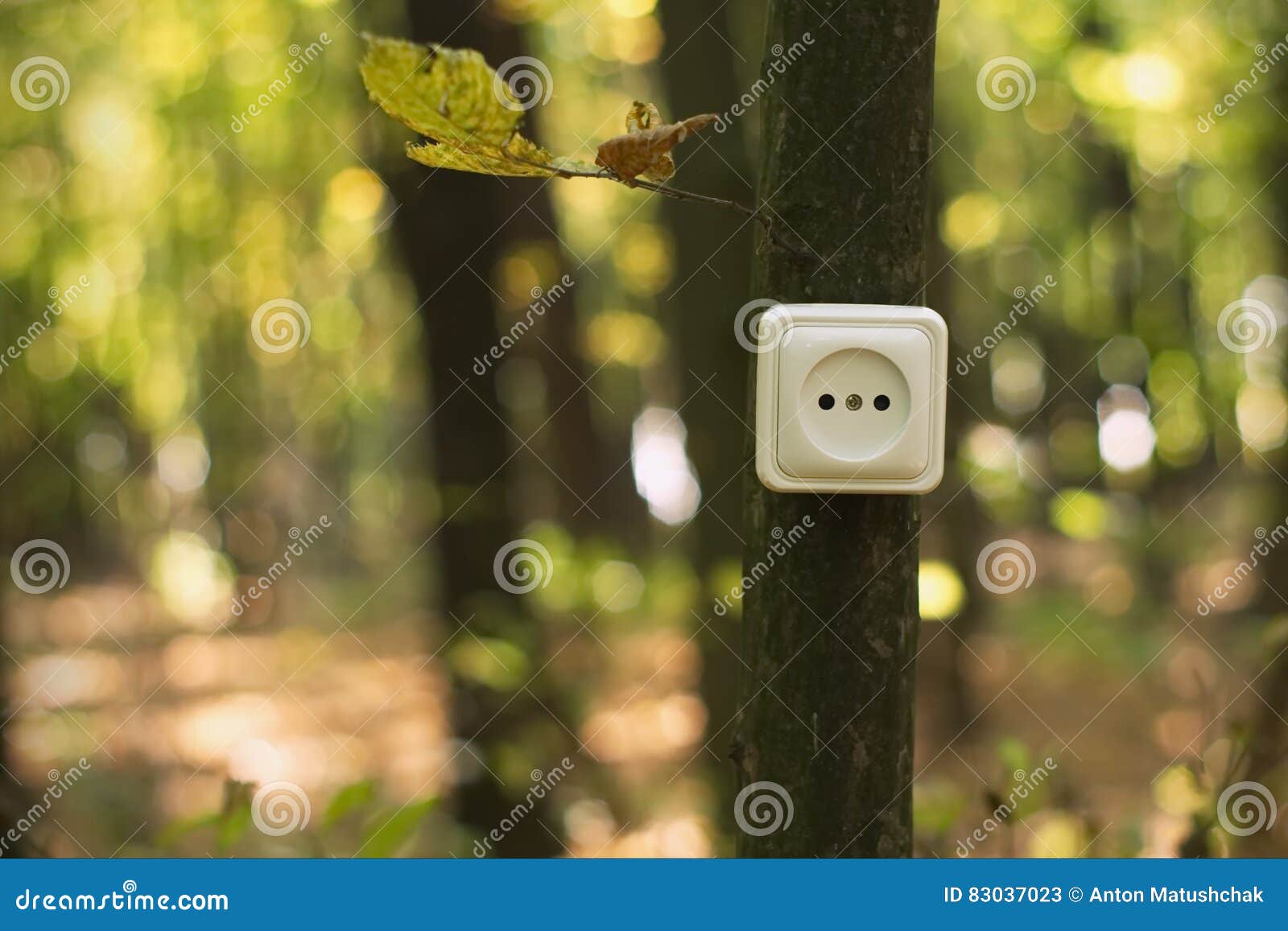 Electric Socket on Trees in Forest. Green Energy Concept Stock Image ...