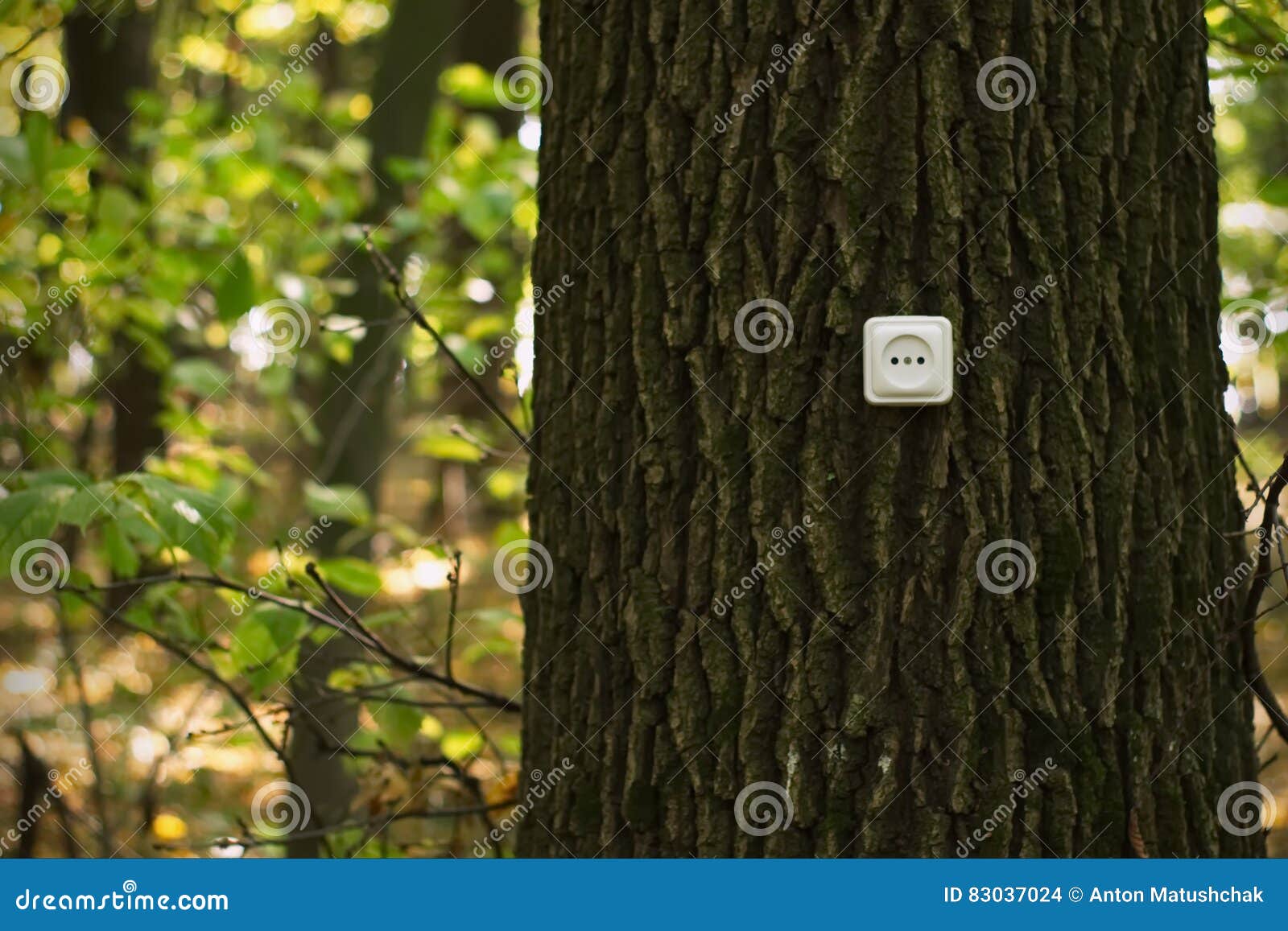 Electric Socket on Trees in Forest. Green Energy Concept Stock Photo ...