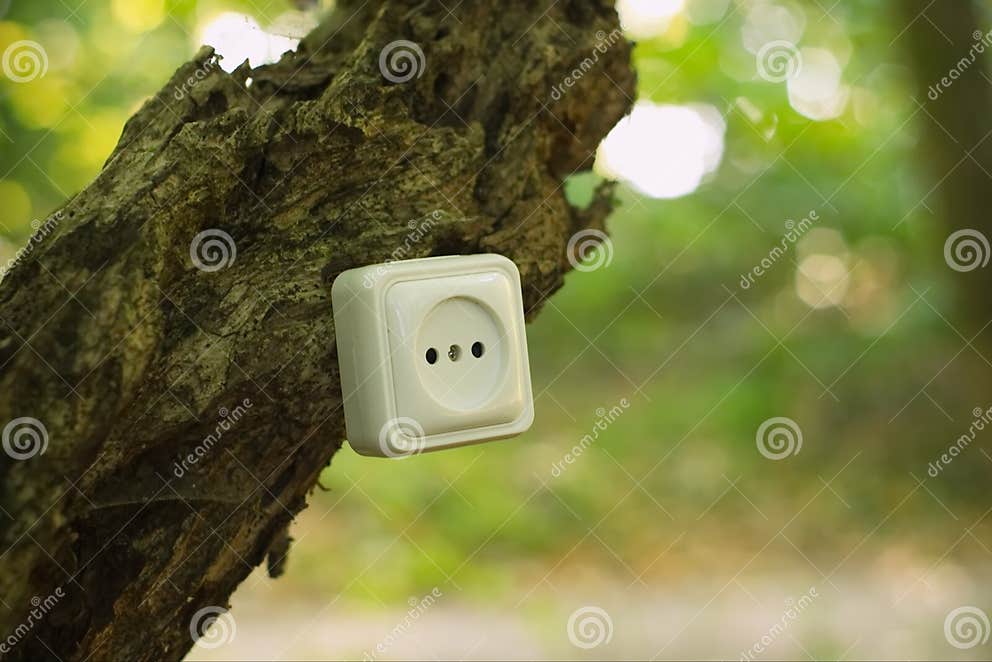 Electric Socket on Trees in Forest. Green Energy Concept Stock Image ...