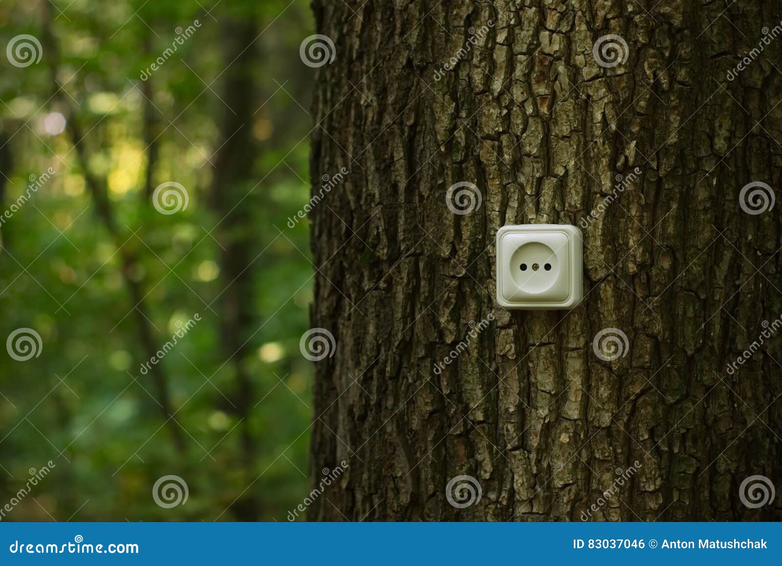 Electric Socket on Trees in Forest. Green Energy Concept Stock Photo ...