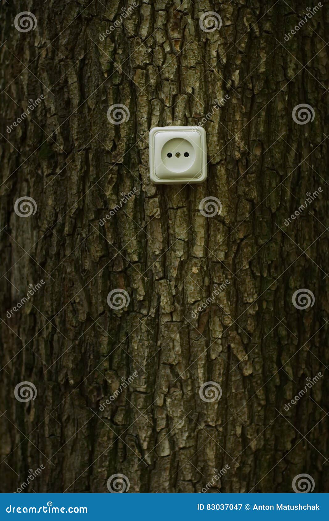 Electric Socket on Trees in Forest. Green Energy Concept Stock Image ...