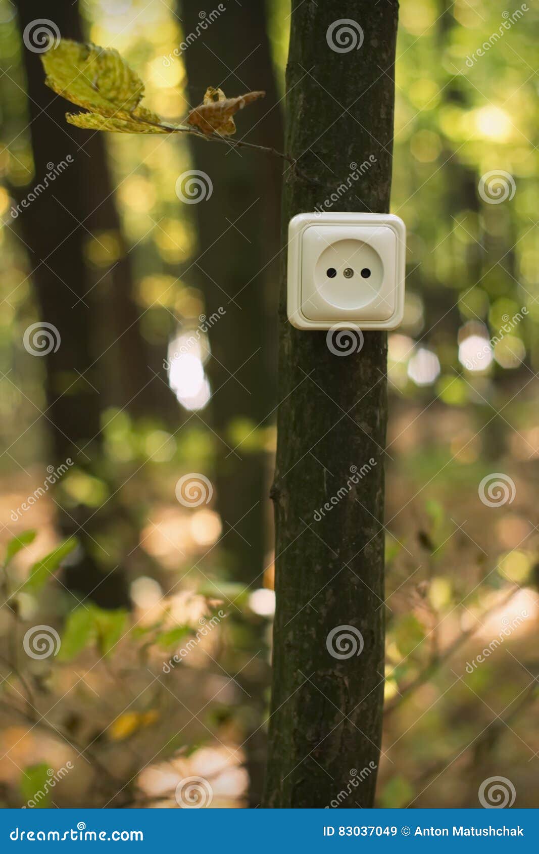 Electric Socket on Trees in Forest. Green Energy Concept Stock Image ...