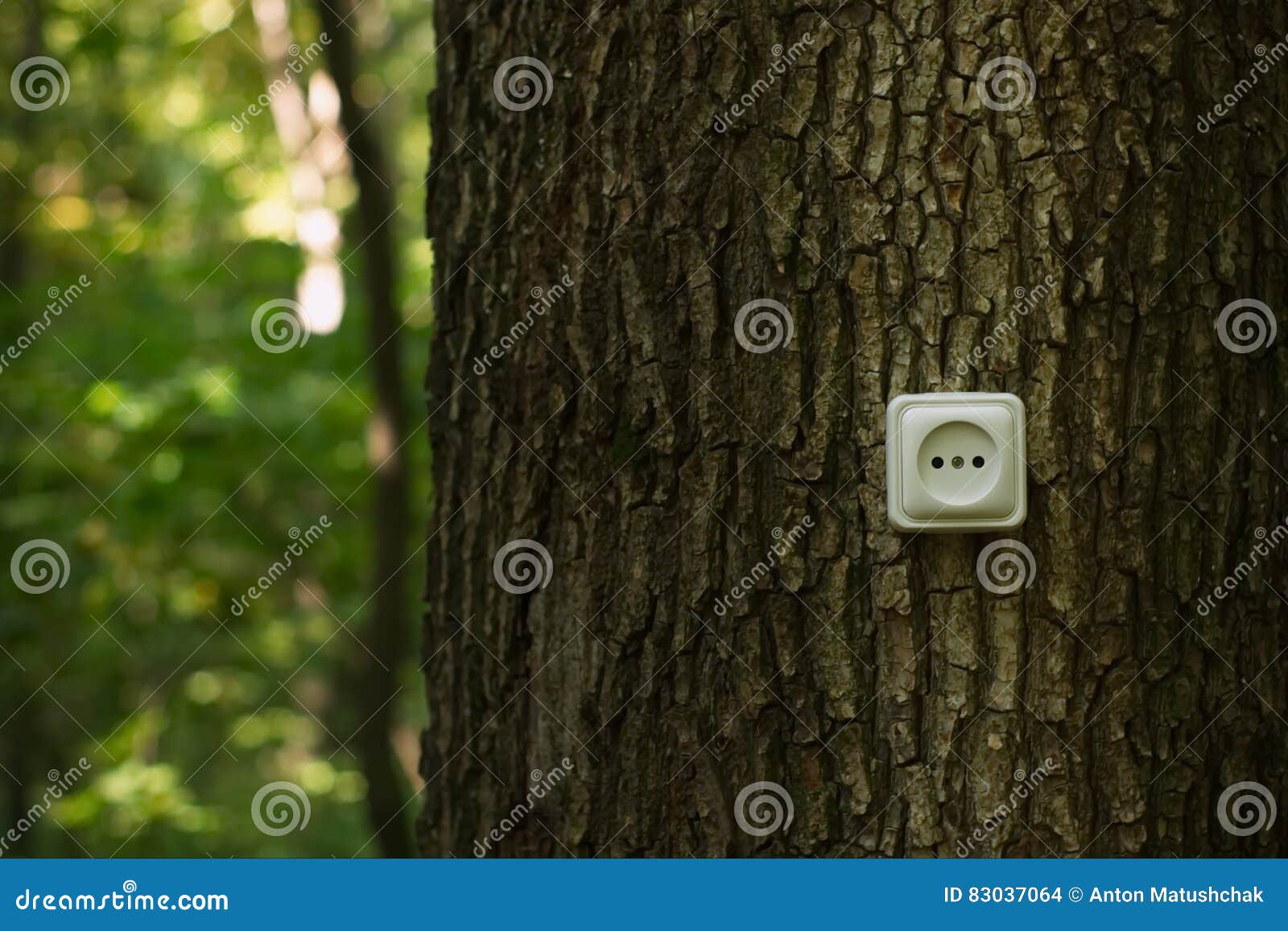Electric Socket on Trees in Forest. Green Energy Concept Stock Photo ...