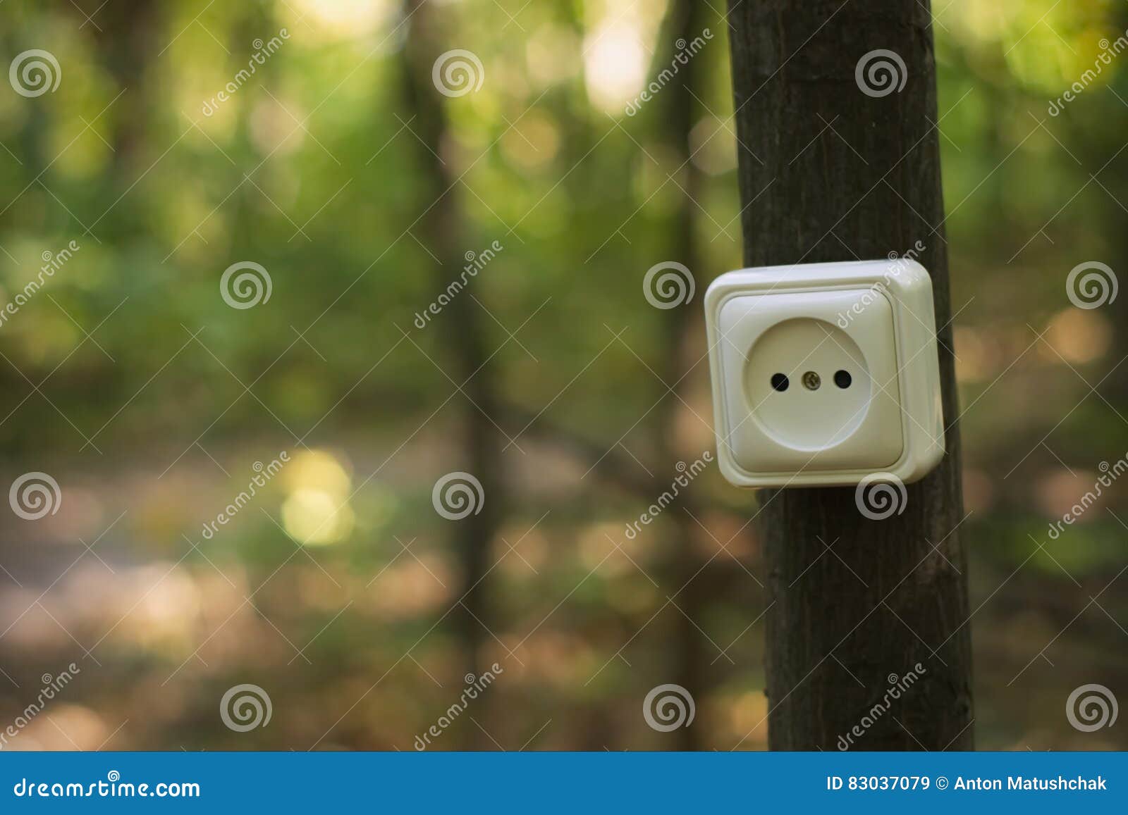 Electric Socket on Trees in Forest. Green Energy Concept Stock Image ...