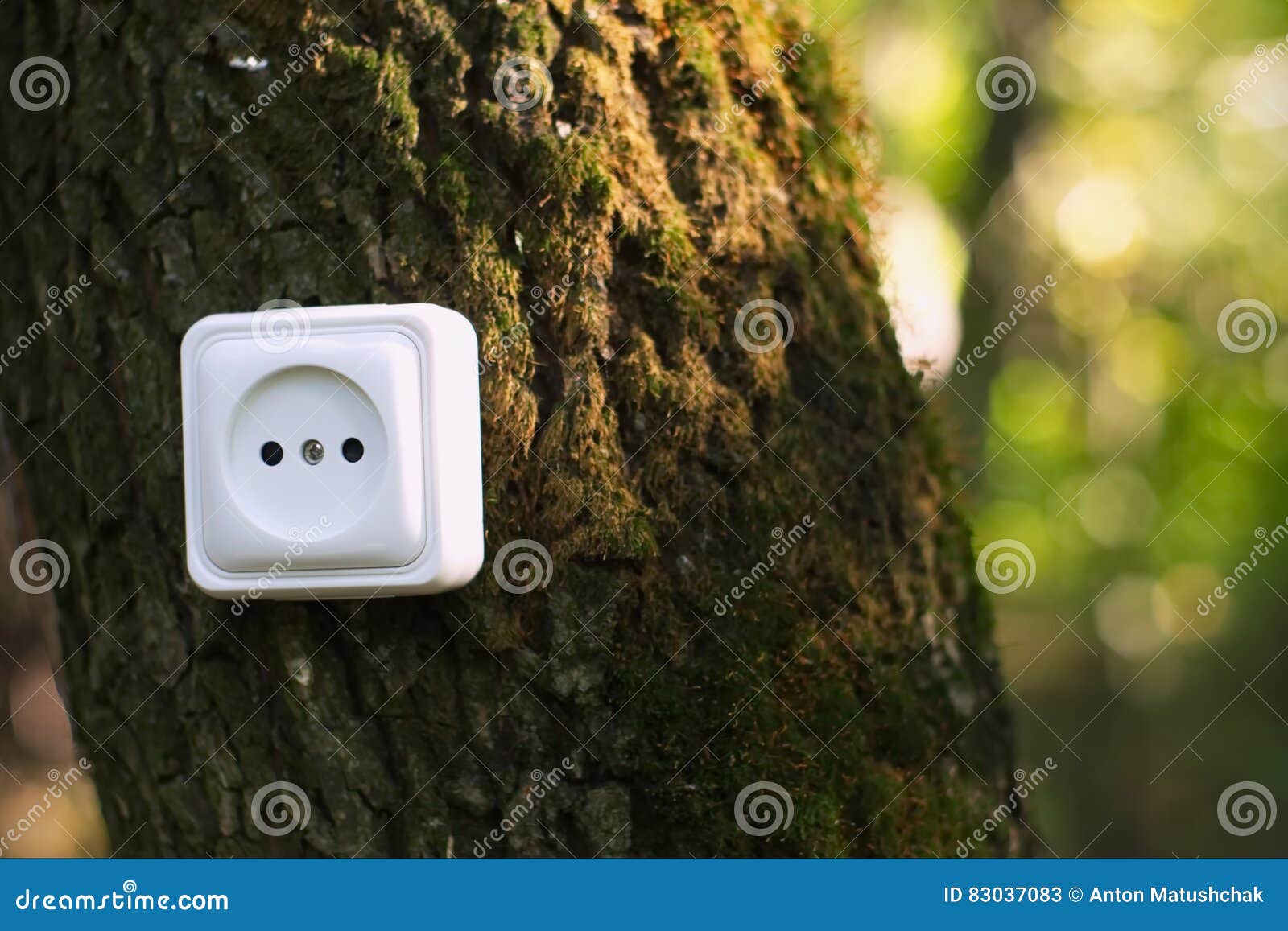 Electric Socket on Trees in Forest. Green Energy Concept Stock Image ...
