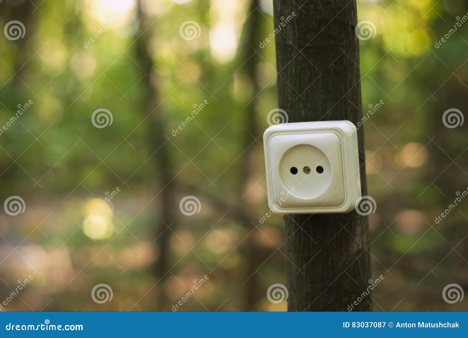 Electric Socket on Trees in Forest. Green Energy Concept Stock Image ...