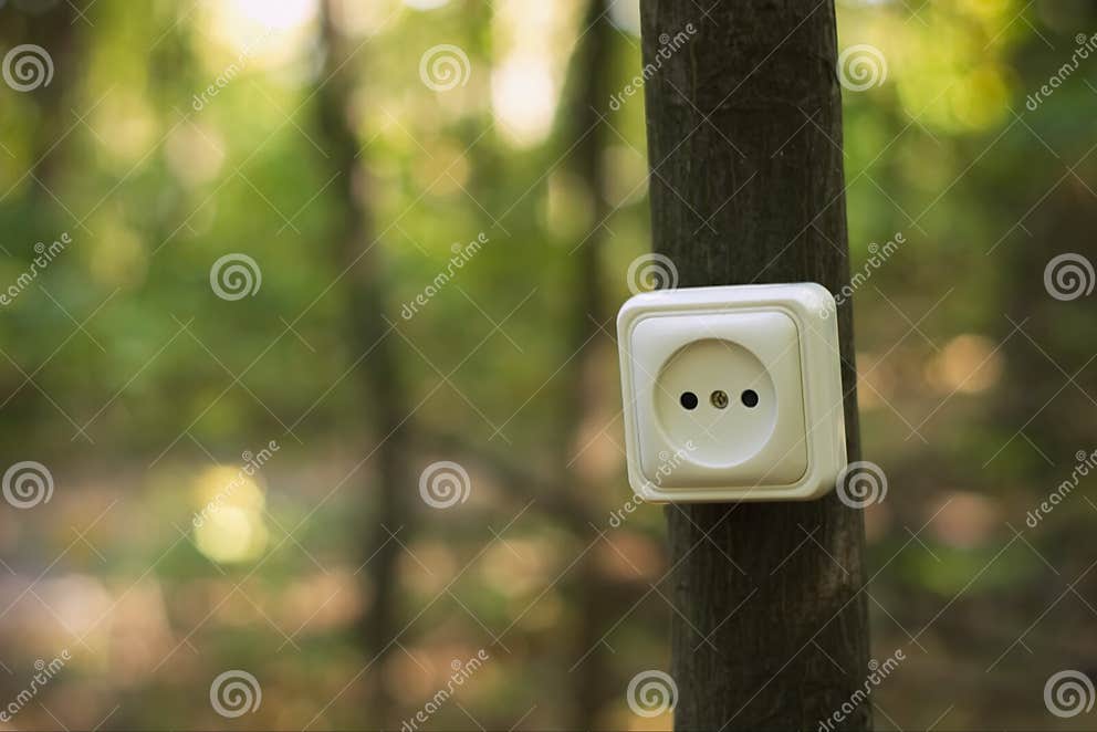 Electric Socket on Trees in Forest. Green Energy Concept Stock Image ...