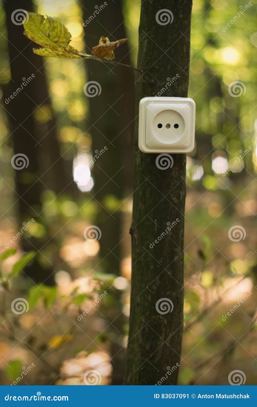Electric Socket on Trees in Forest. Green Energy Concept Stock Image ...