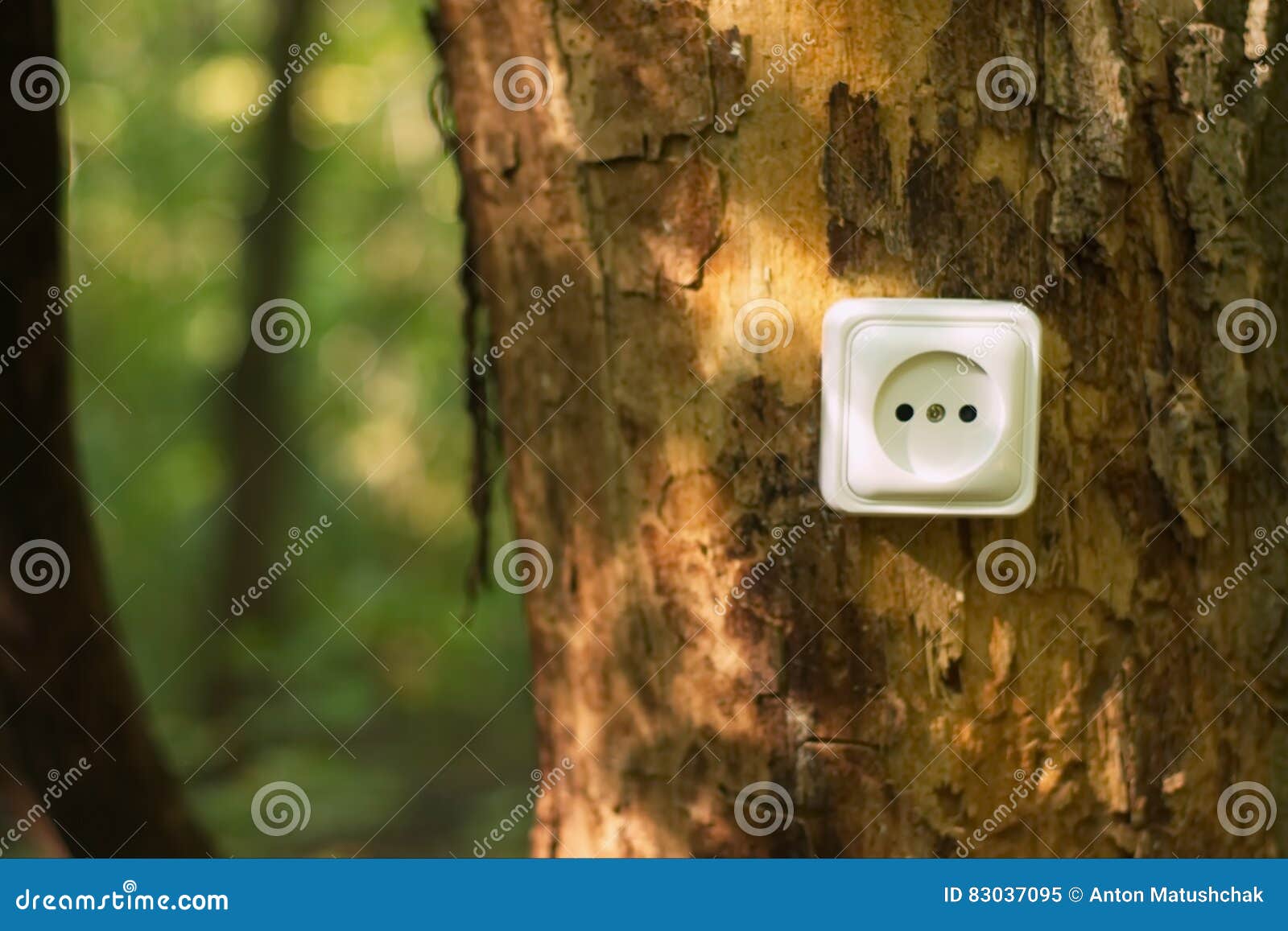 Electric Socket on Trees in Forest. Green Energy Concept Stock Image ...