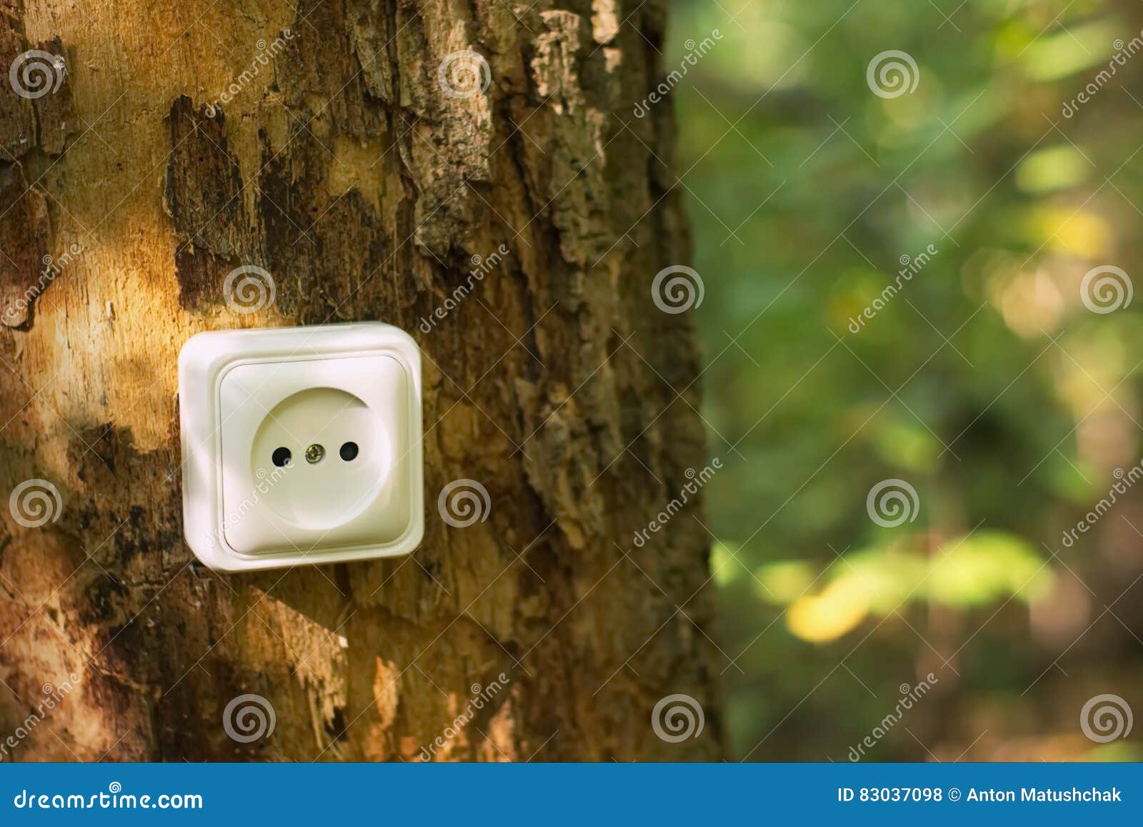 Electric Socket on Trees in Forest. Green Energy Concept Stock Photo ...