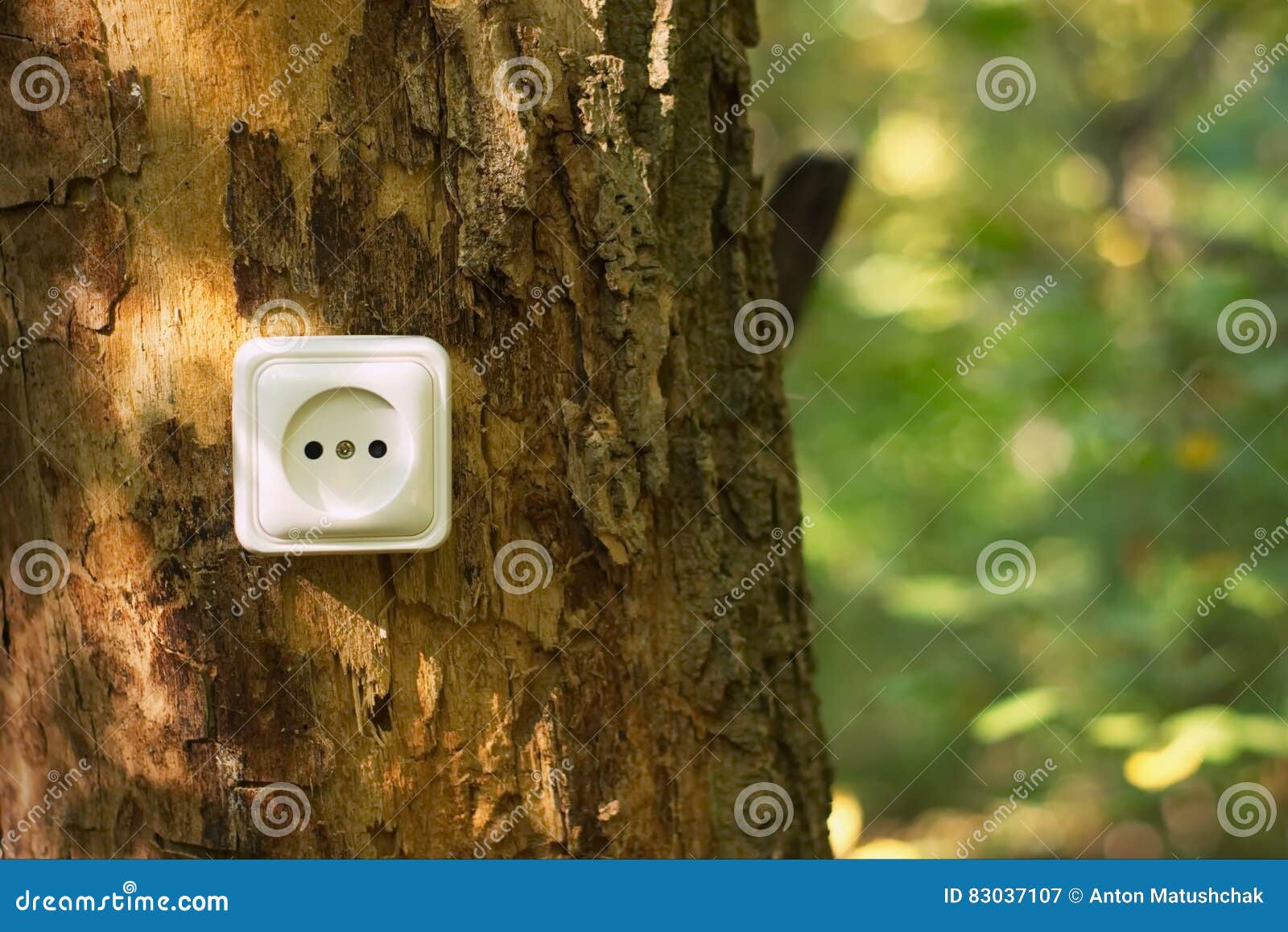 Electric Socket on Trees in Forest. Green Energy Concept Stock Image ...