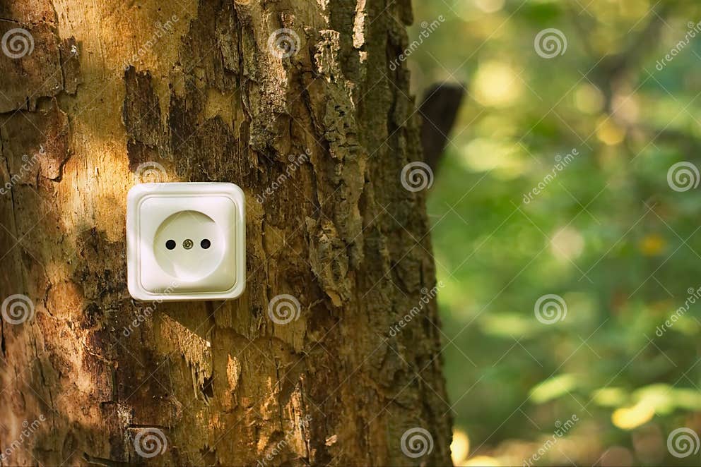 Electric Socket on Trees in Forest. Green Energy Concept Stock Image ...