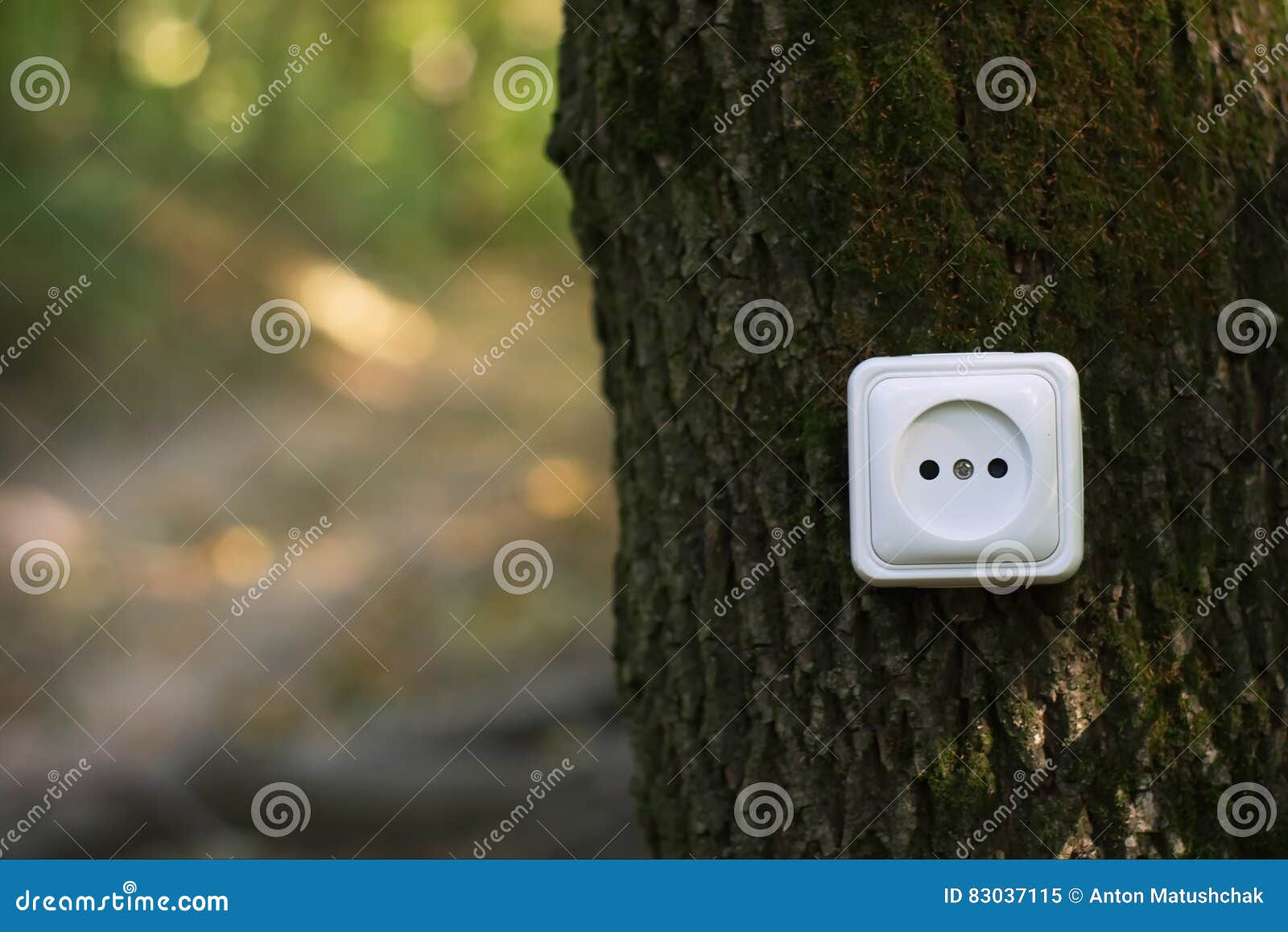 Electric Socket on Trees in Forest. Green Energy Concept Stock Image ...