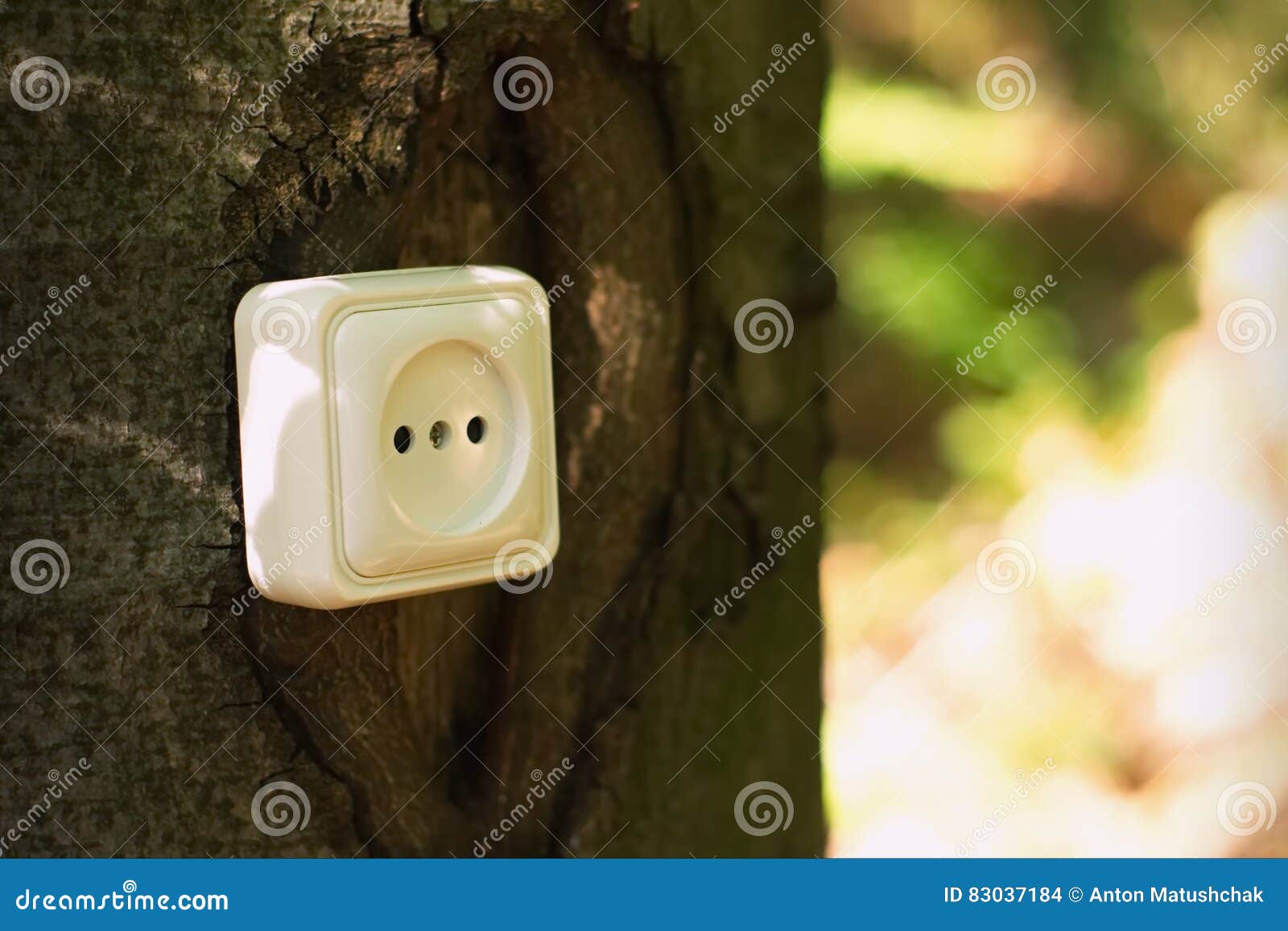 Electric Socket on Trees in Forest. Green Energy Concept Stock Photo ...