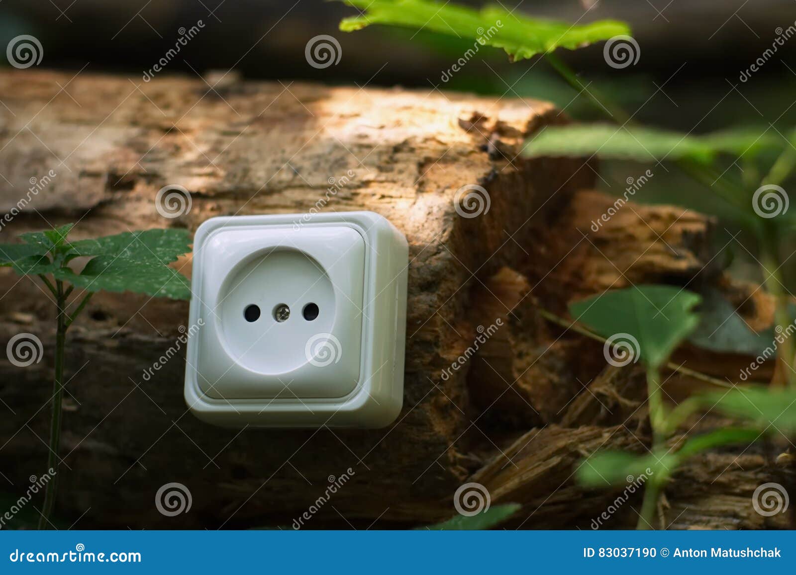 Electric Socket on Trees in Forest. Green Energy Concept Stock Photo ...
