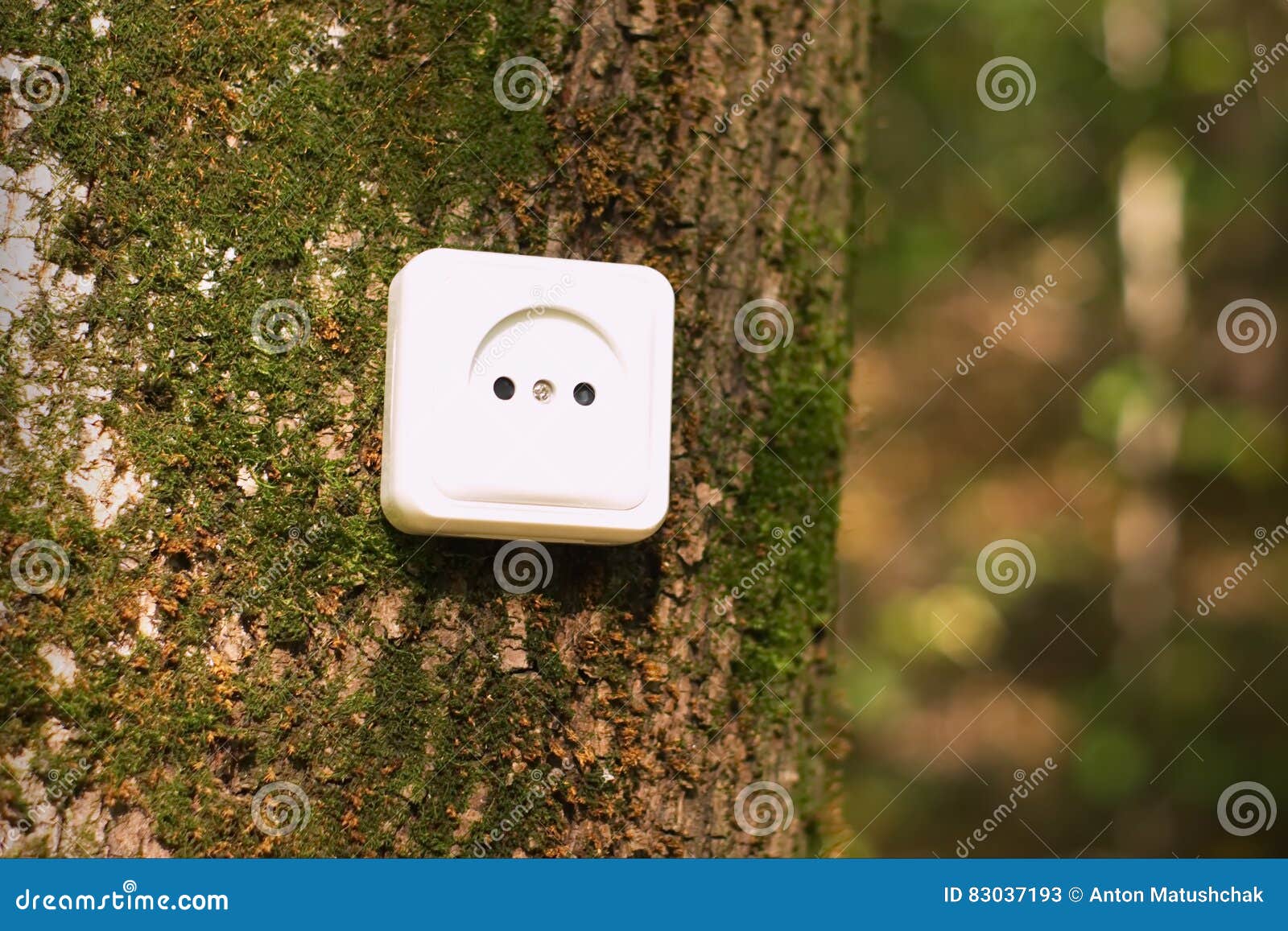 Electric Socket on Trees in Forest. Green Energy Concept Stock Image ...