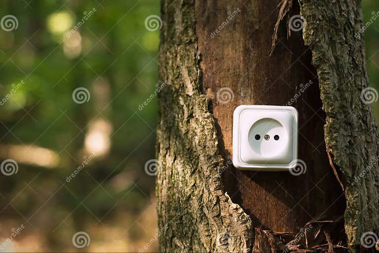 Electric Socket on Trees in Forest. Green Energy Concept Stock Photo ...