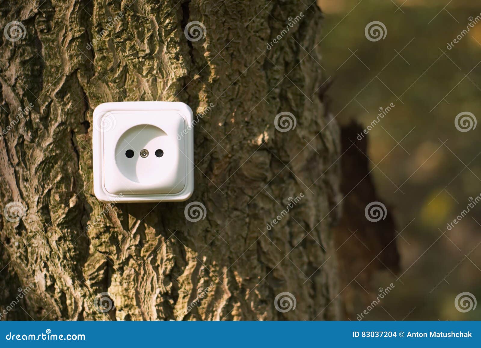 Electric Socket on Trees in Forest. Green Energy Concept Stock Photo ...