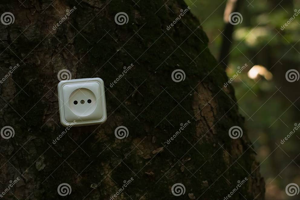 Electric Socket on Trees in Forest. Green Energy Concept Stock Image ...