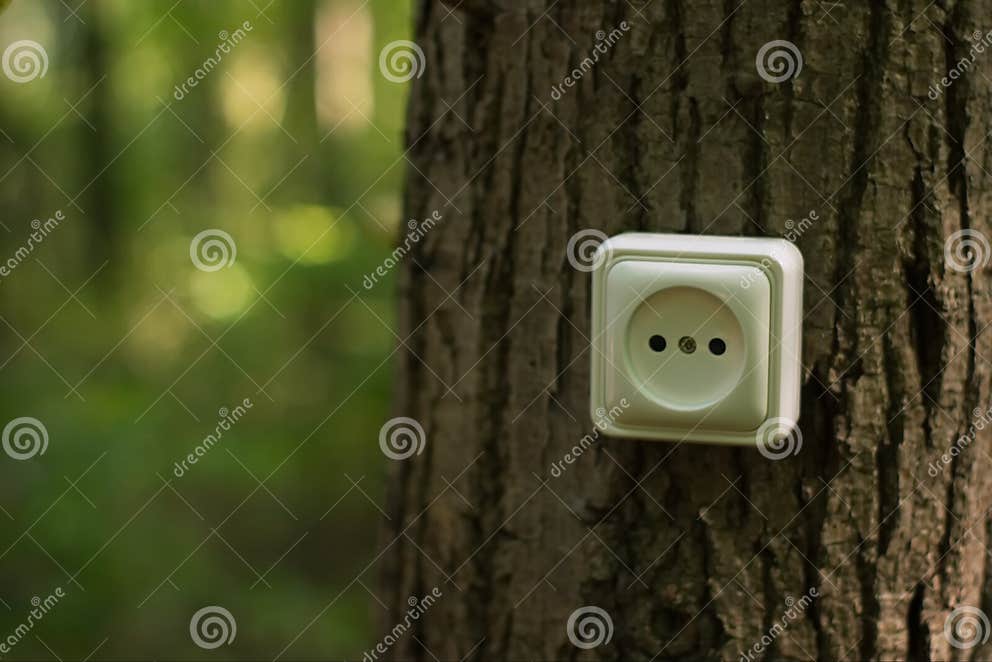 Electric Socket on Trees in Forest. Green Energy Concept Stock Photo ...