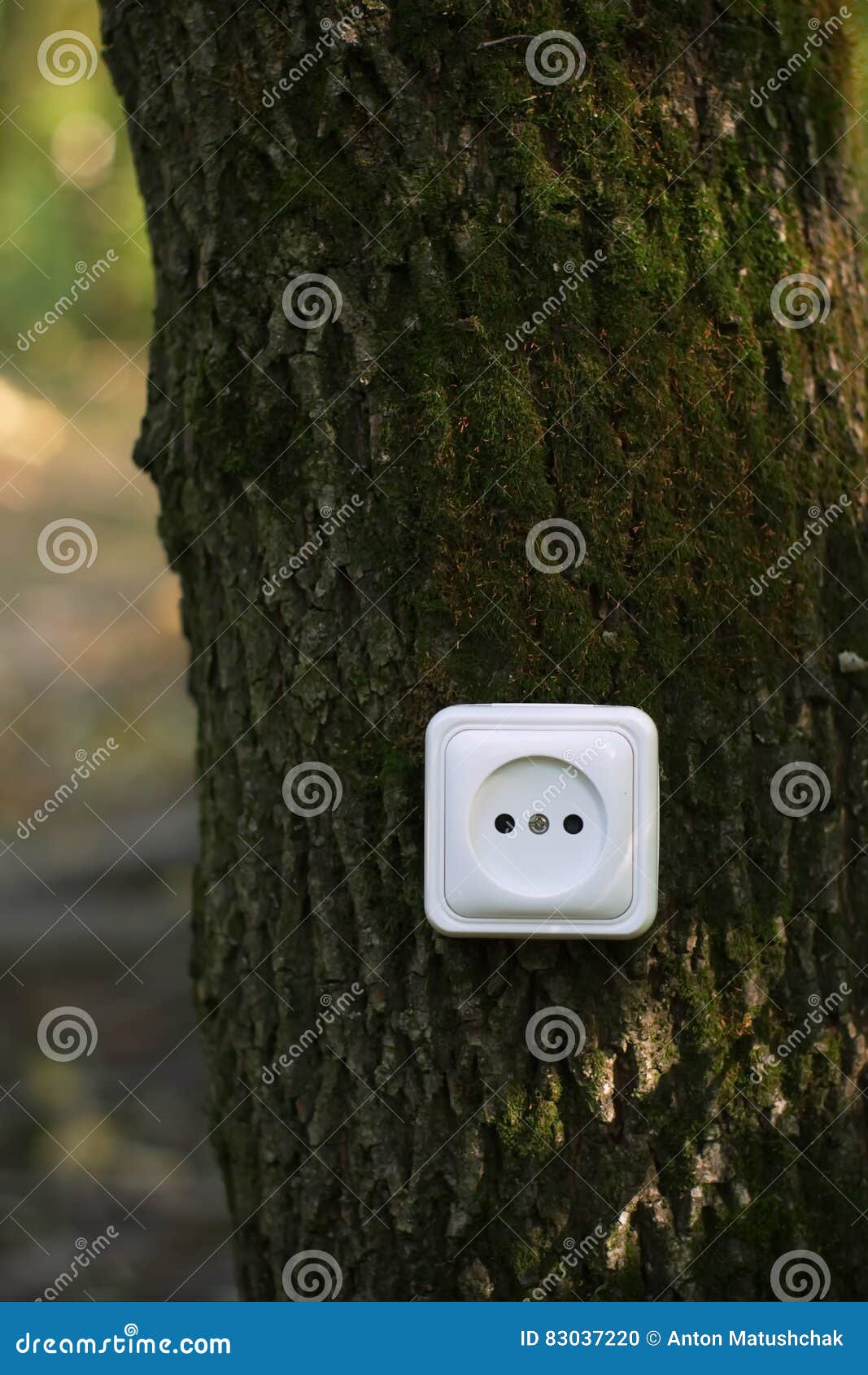 Electric Socket on Trees in Forest. Green Energy Concept Stock Photo ...