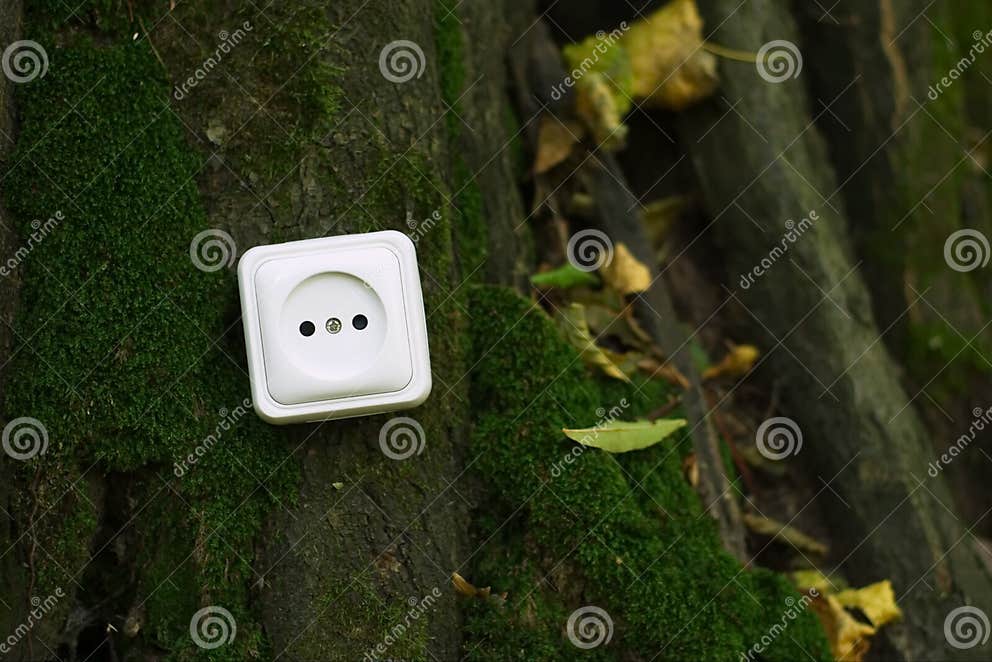 Electric Socket on Trees in Forest. Green Energy Concept Stock Image ...