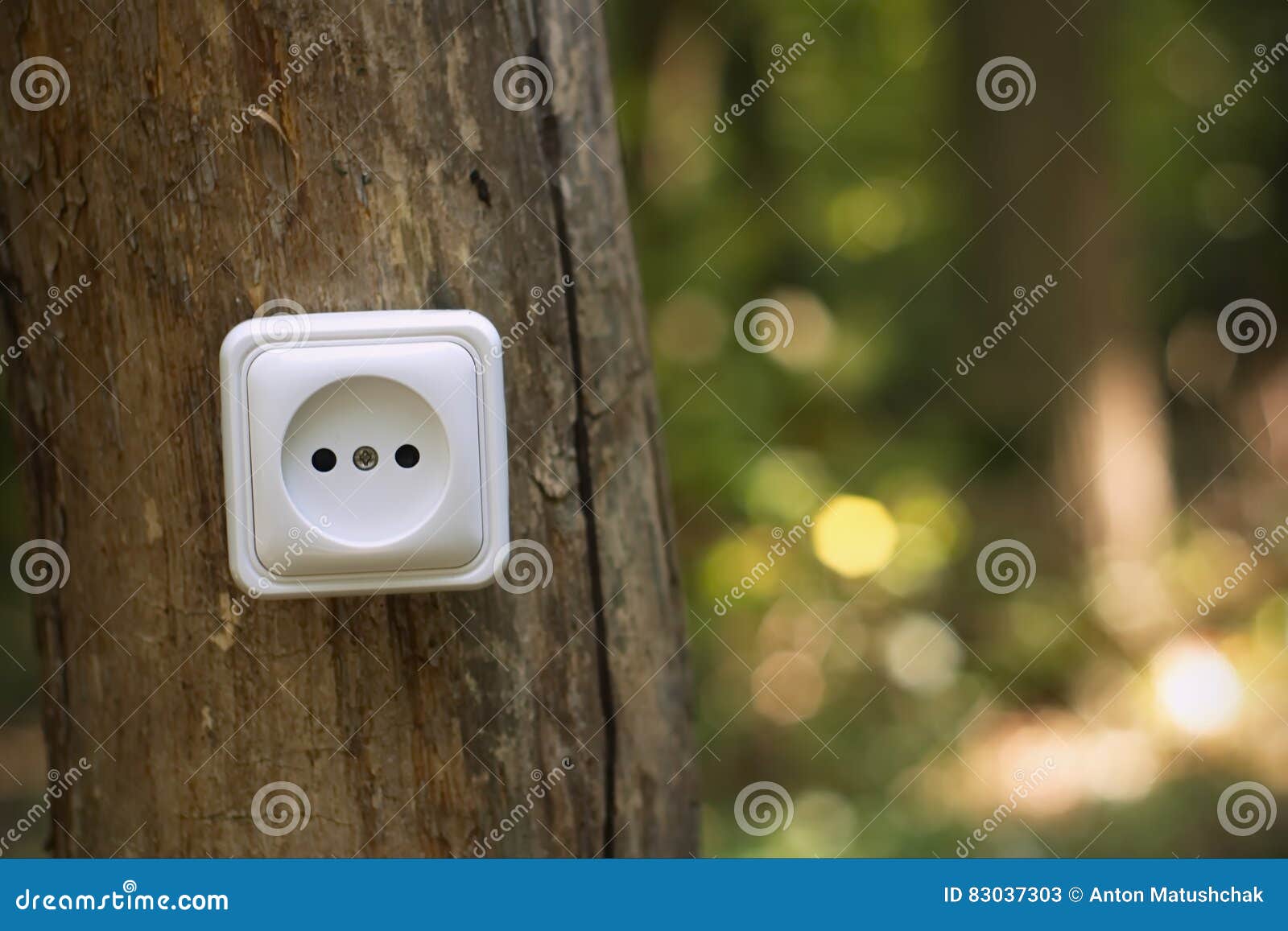 Electric Socket on Trees in Forest. Green Energy Concept Stock Image ...
