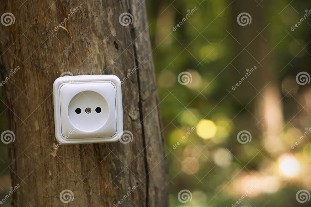 Electric Socket on Trees in Forest. Green Energy Concept Stock Image ...