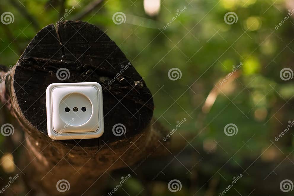 Electric Socket on Trees in Forest. Green Energy Concept Stock Photo ...