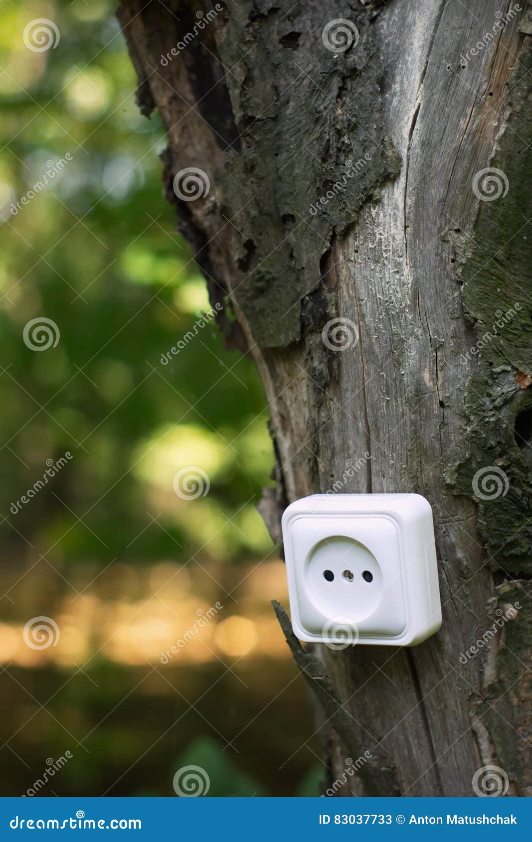Electric Socket on Trees in Forest. Green Energy Concept Stock Image ...