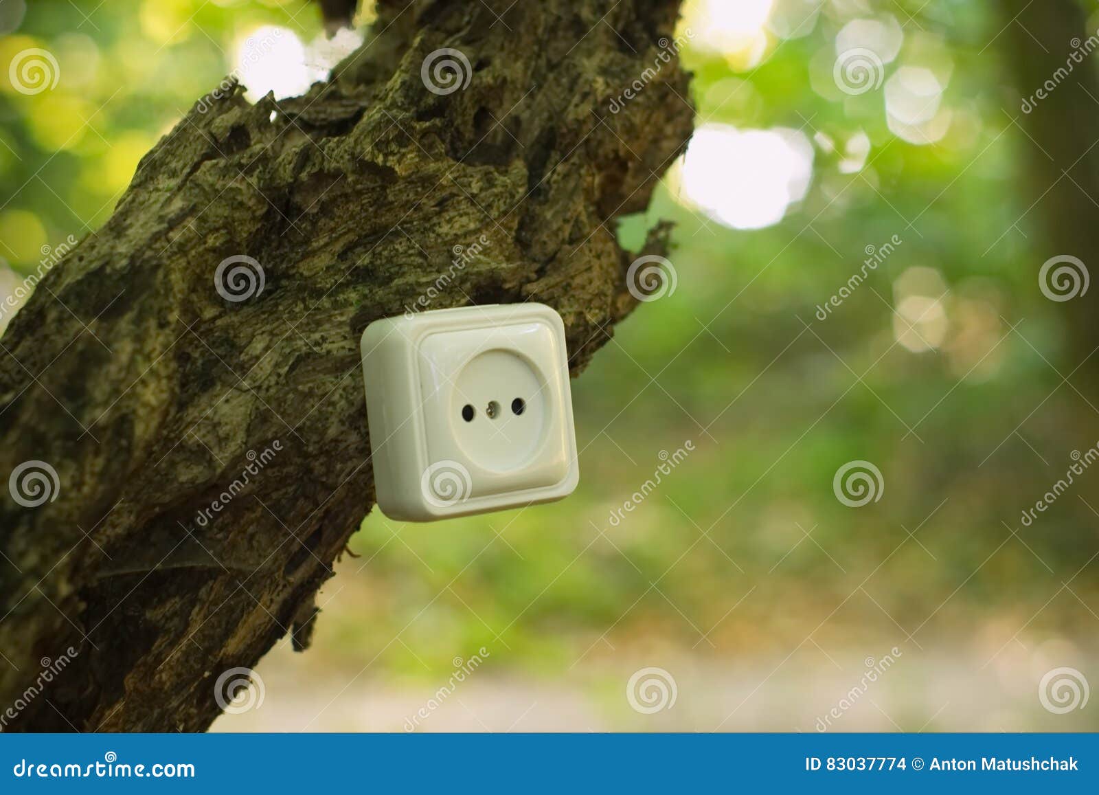 Electric Socket on Trees in Forest. Green Energy Concept Stock Photo ...