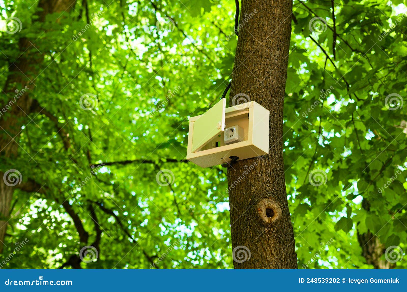 Electric Socket in White Box on the Tree in Park. Green Energy Concept ...
