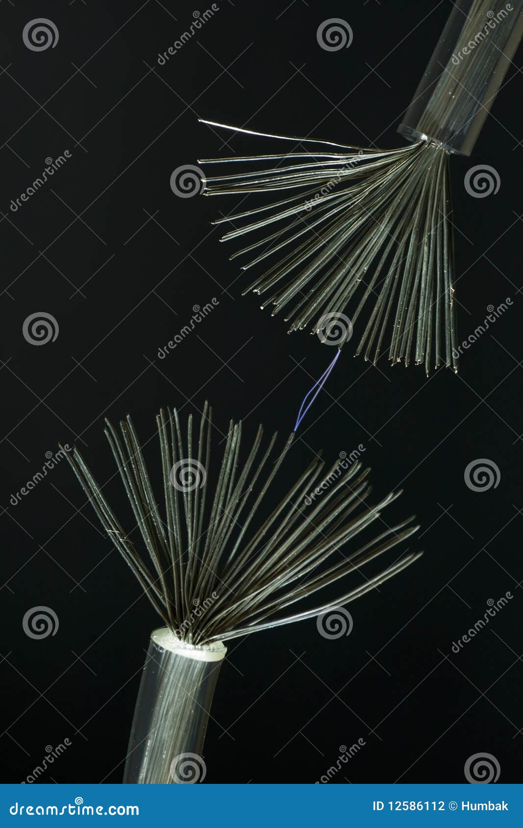 Electric Spark stock photo. Image of industry, cord, isolated - 12586112