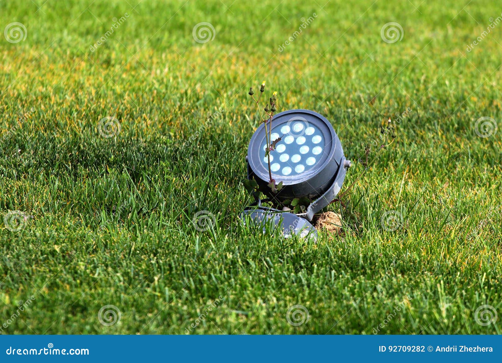 Electric Spotlight in Green Grass Stock Photo - Image of decoration ...