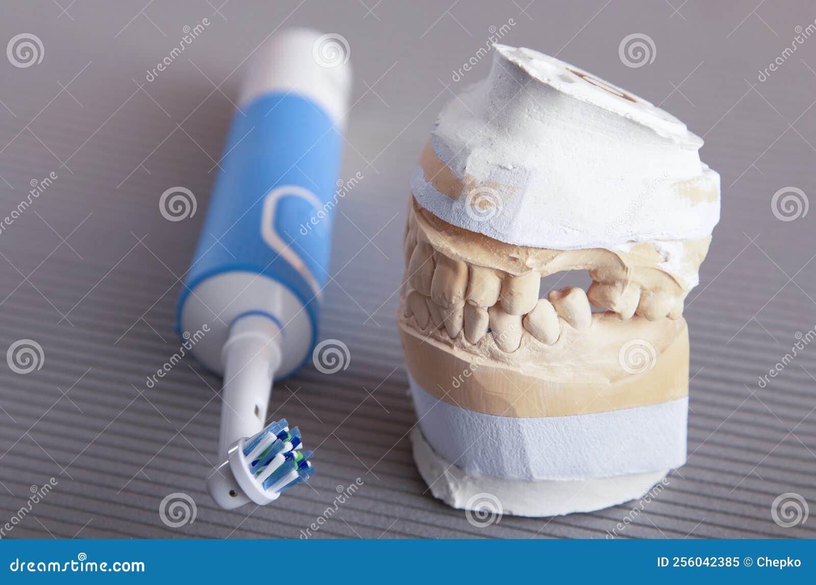 Electric Toothbrush and Plaster Human Teeth Model of Artificial Jaw ...