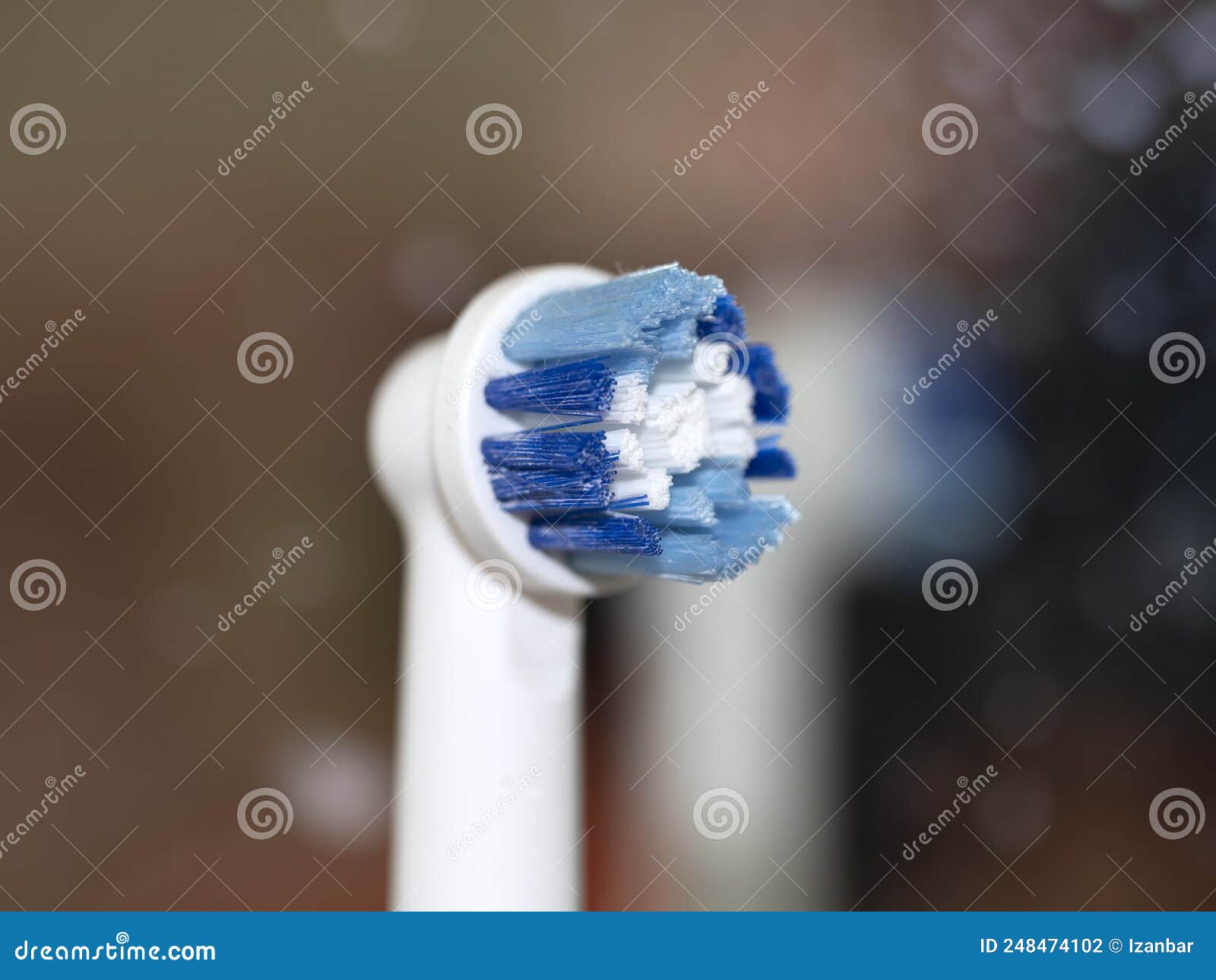 Electric Toothbrush Rotating Head Detail Stock Photo - Image of healthy ...
