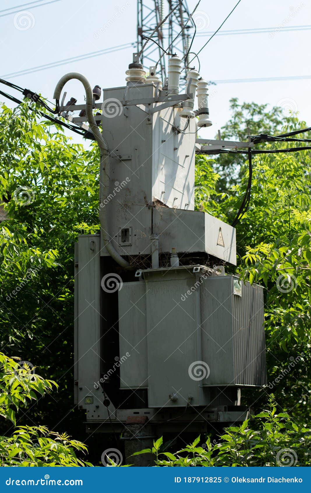 Electric Transformer among Trees in a Summer Stock Image - Image of ...