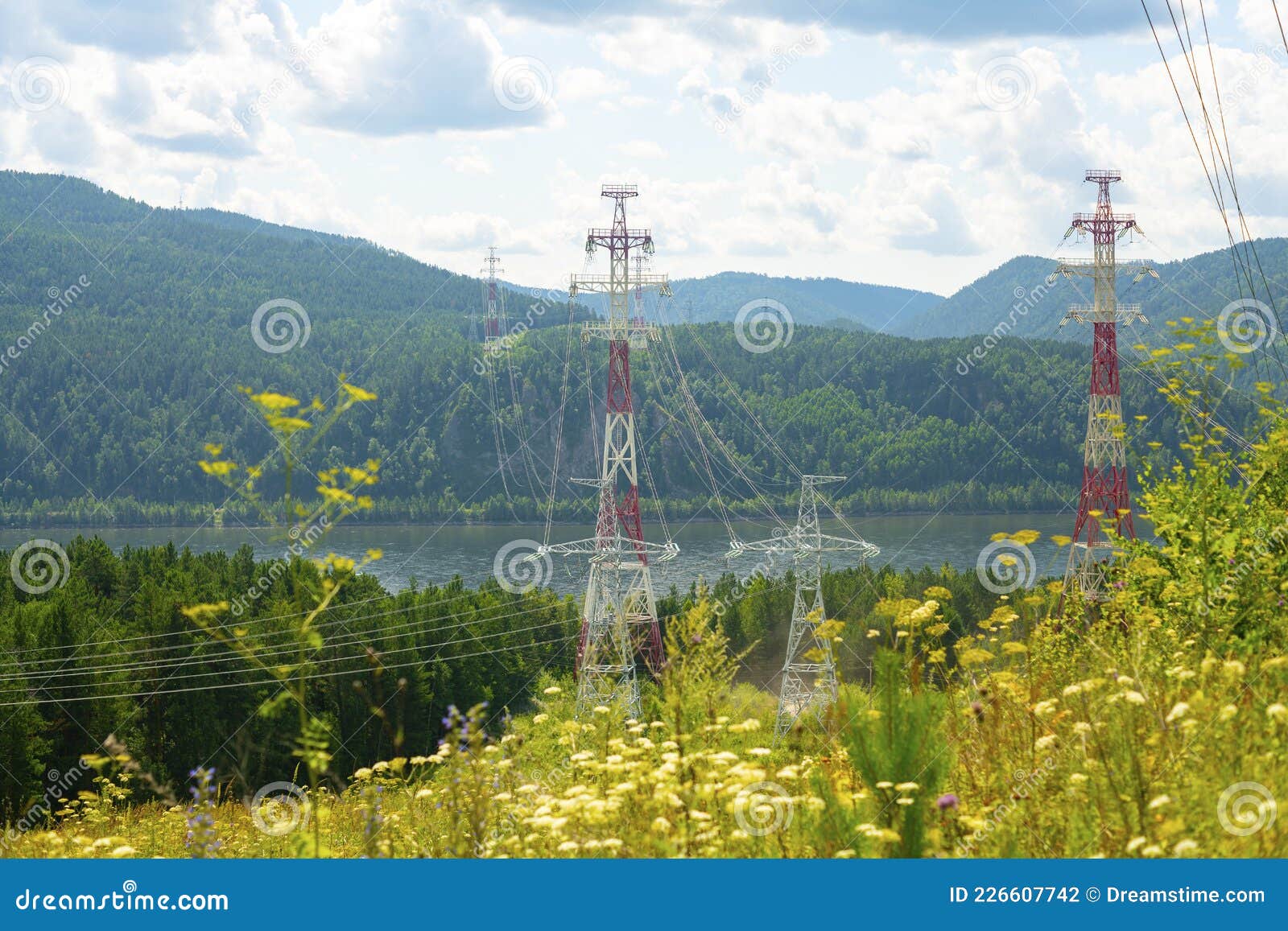 Electric Transmission Lines in the Middle of a Dense Forest. Stock ...