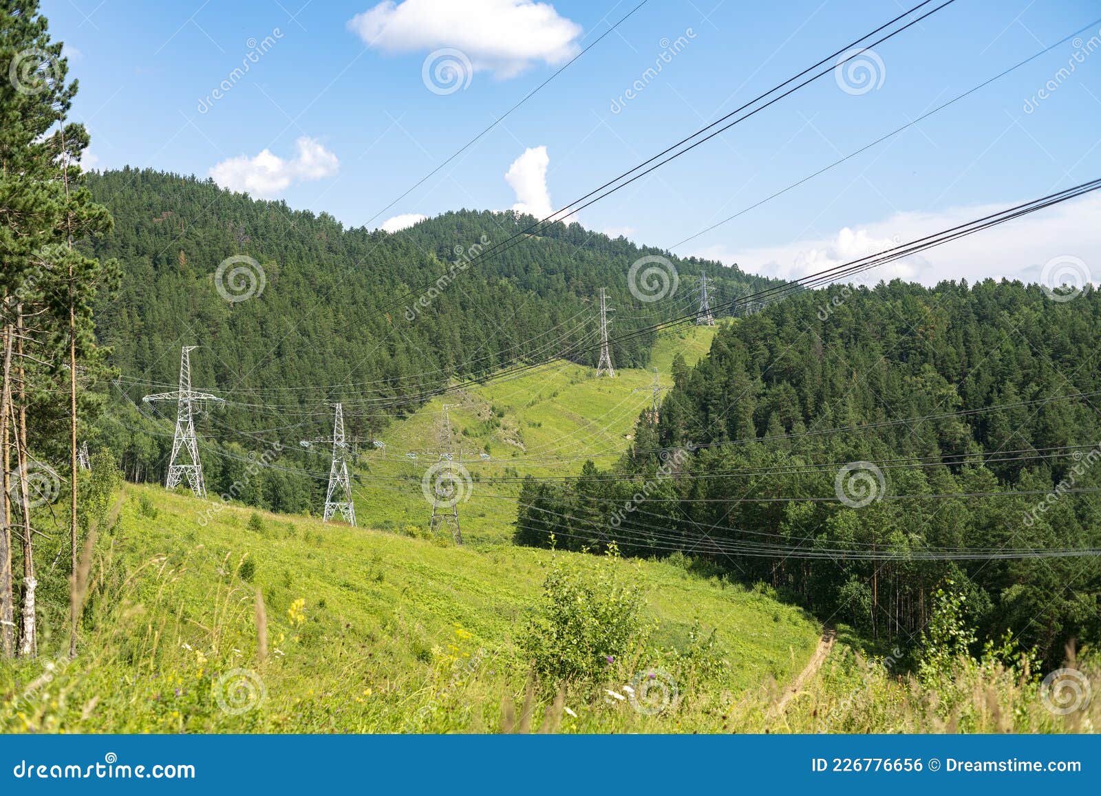 Electric Transmission Lines in the Middle of a Dense Forest. Stock ...