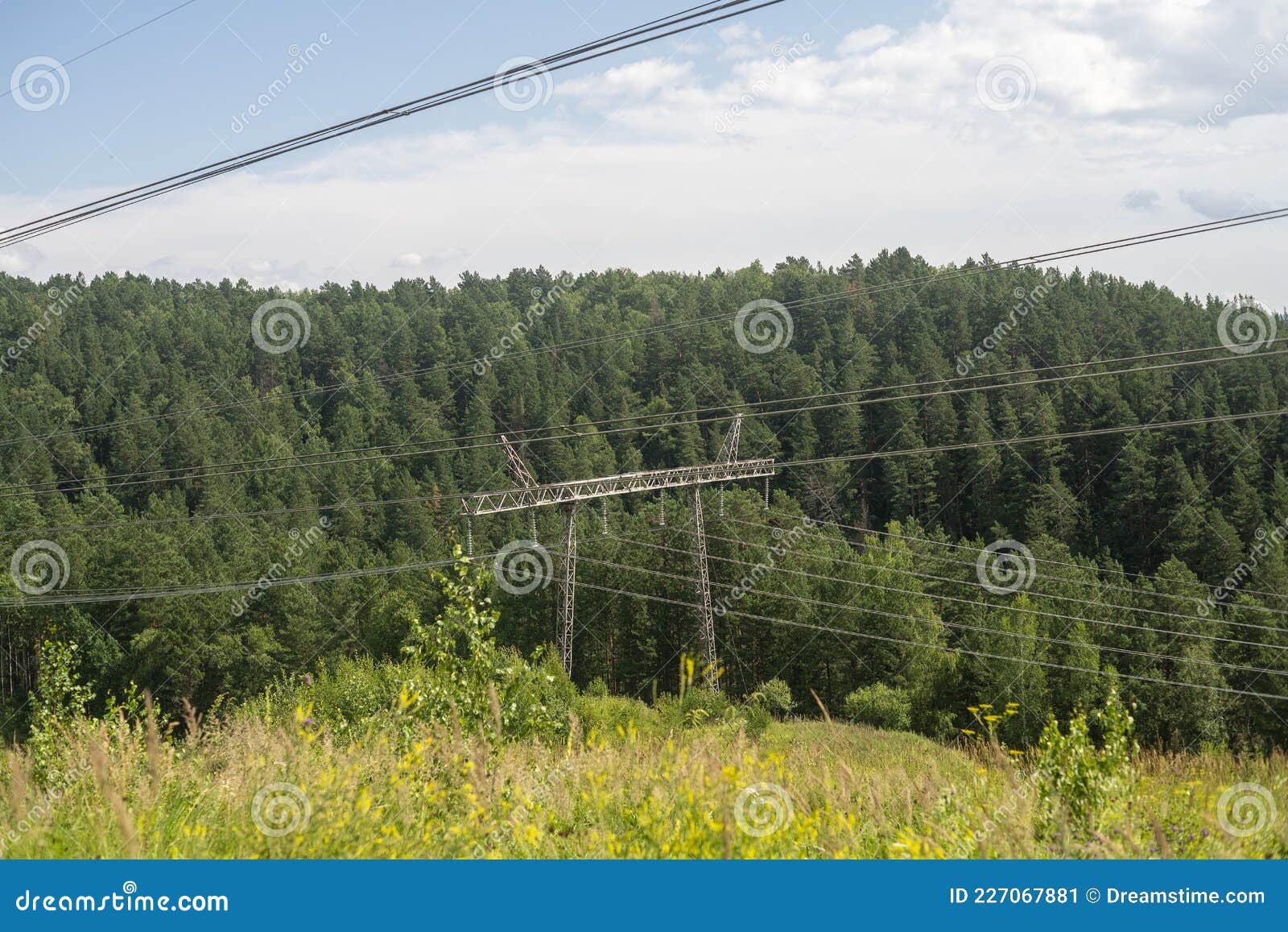 Electric Transmission Lines in the Middle of a Dense Forest. Stock ...