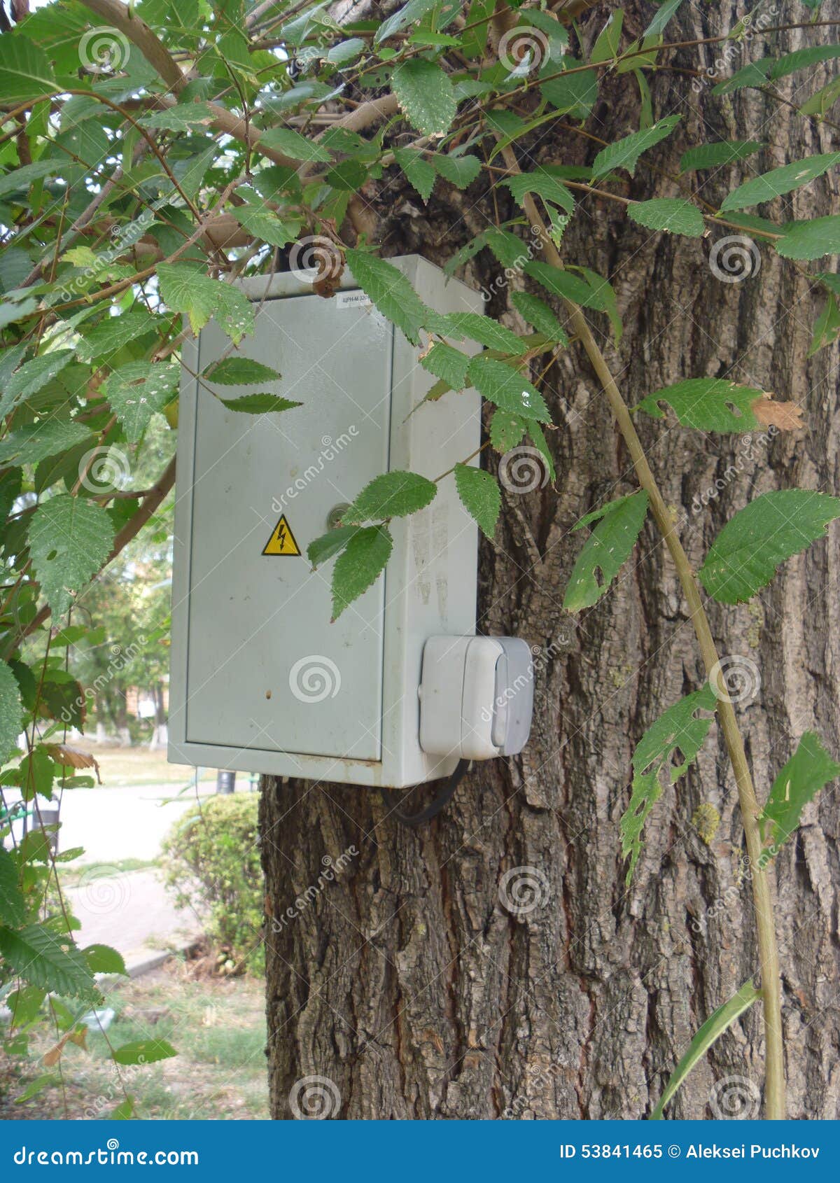 Electric tree stock image. Image of panel, funny, tree - 53841465