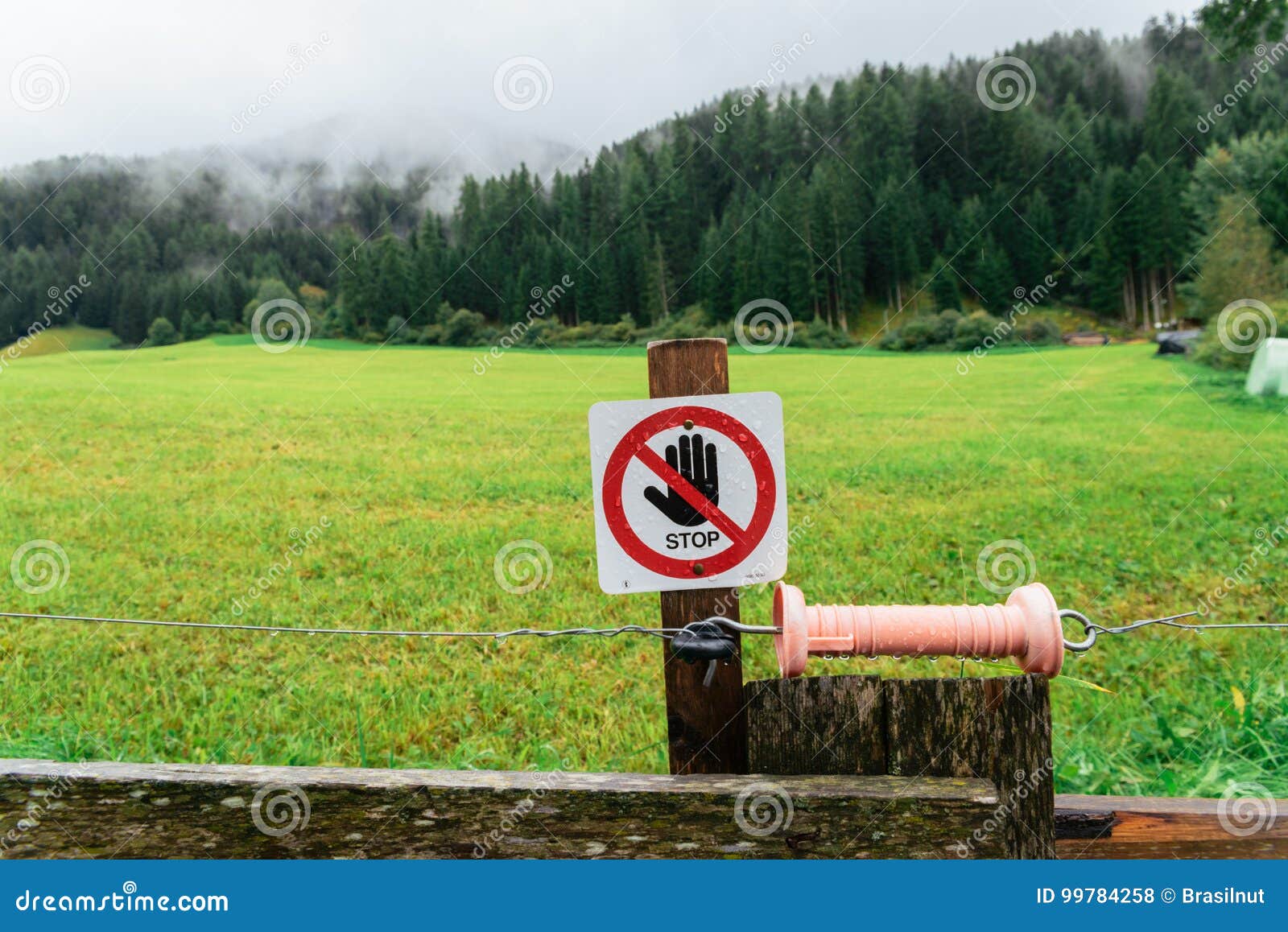 Electric Wire with Sign Saying `stop` Stock Photo - Image of electrical ...