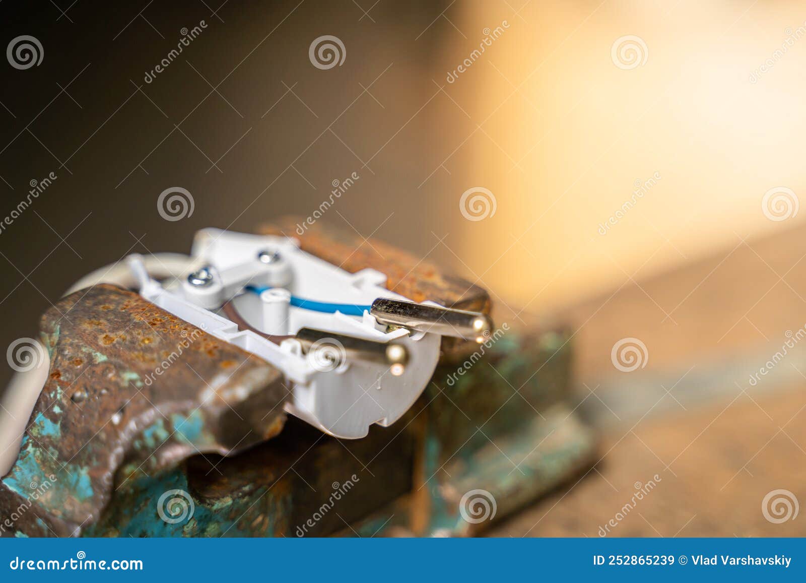 Electrical Appliance Plug in a Section with the Insides Close-up in an ...
